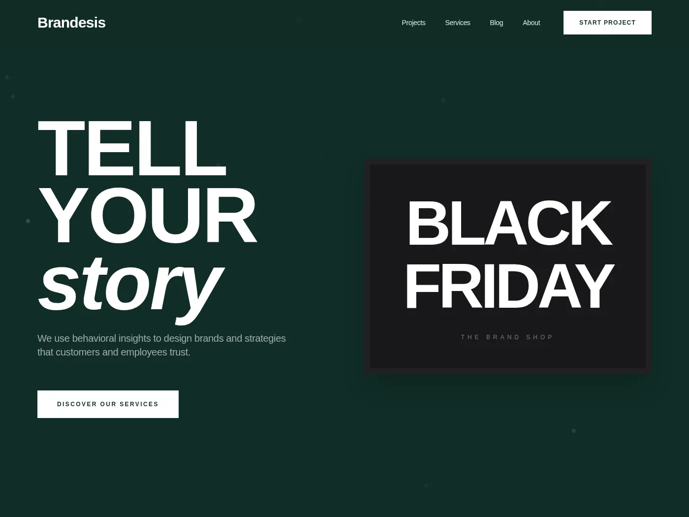 Brandesis Website