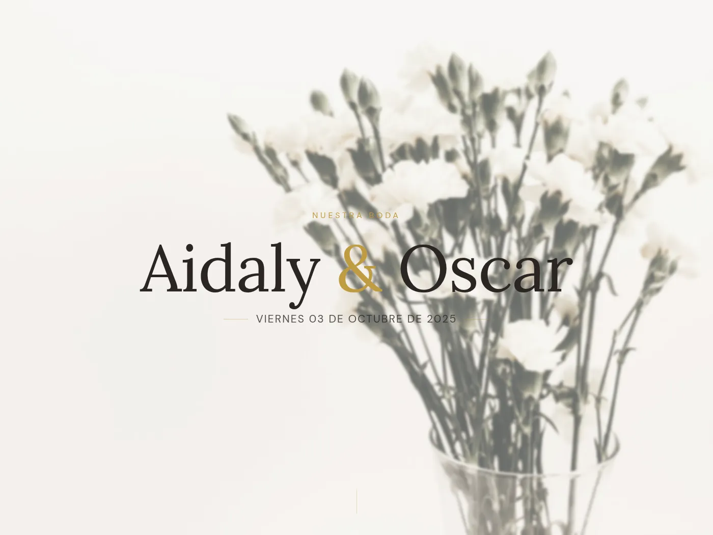 Aidalyy Oscar Web Clone