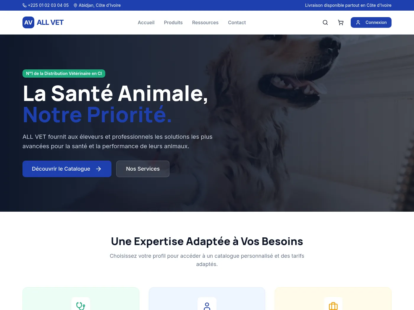 Web Platform