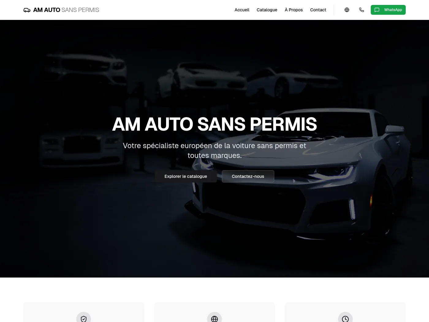 AM Auto Europe Site