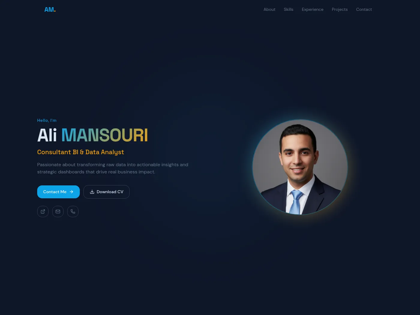 Analyst Portfolio Pro