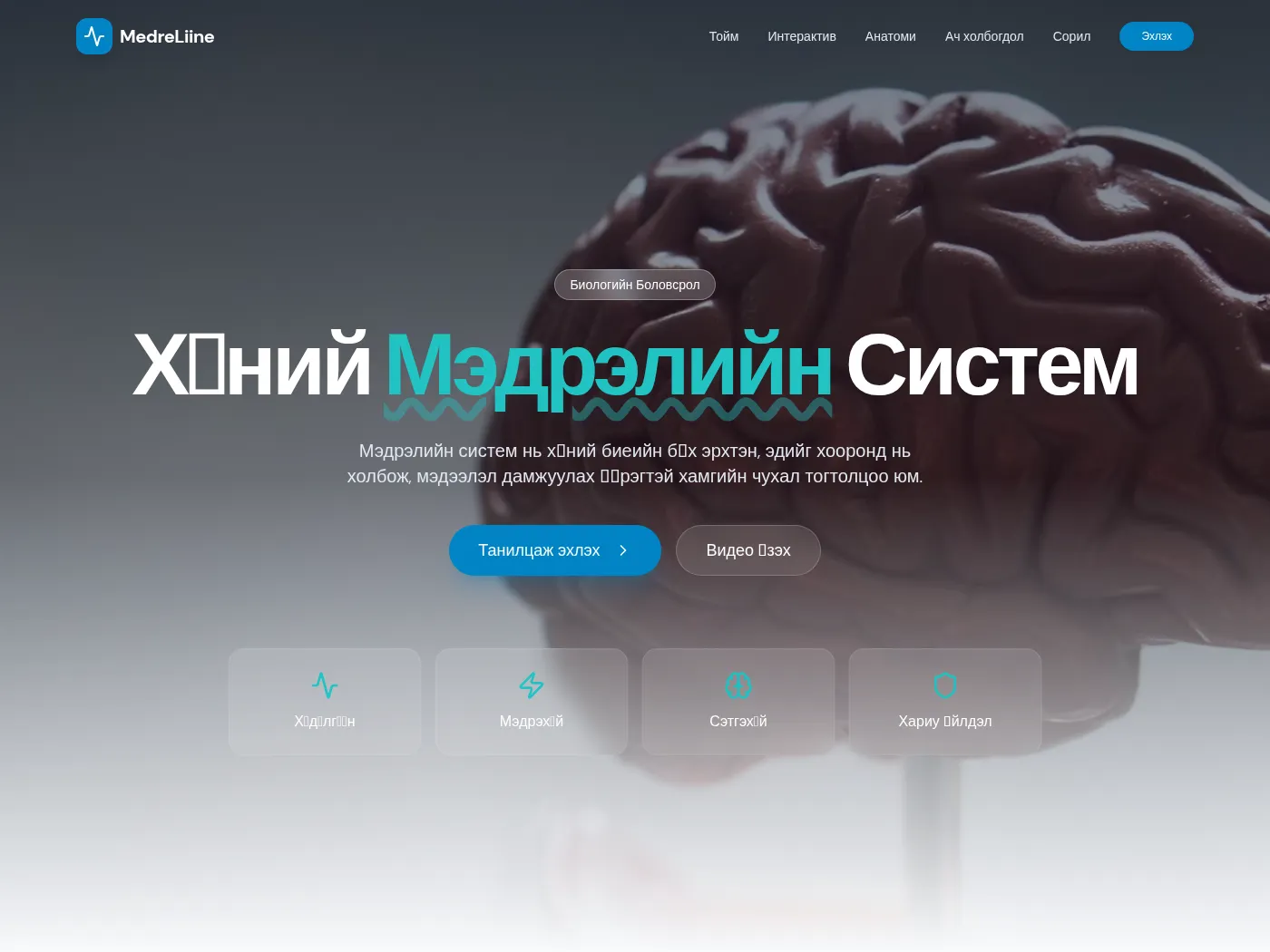Enhanced Anatomy Trigger Page