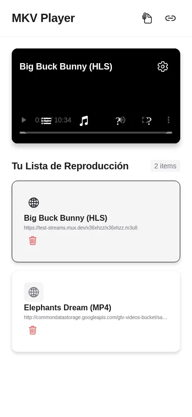 MKV Video Player App