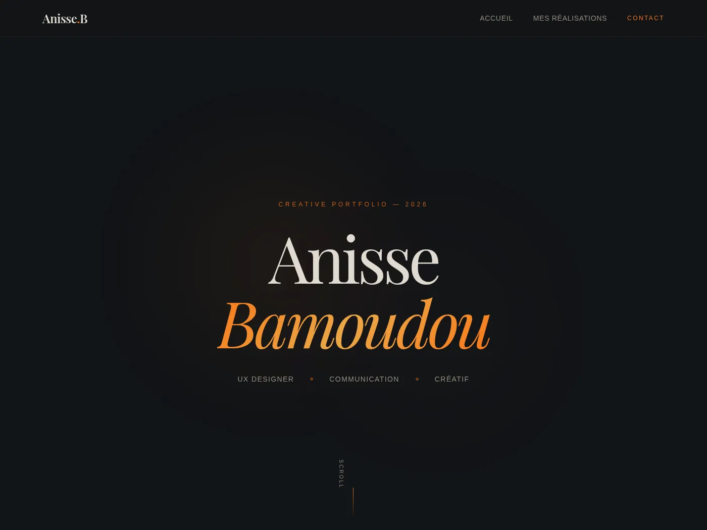 Anisse Bamoudou Portfolio