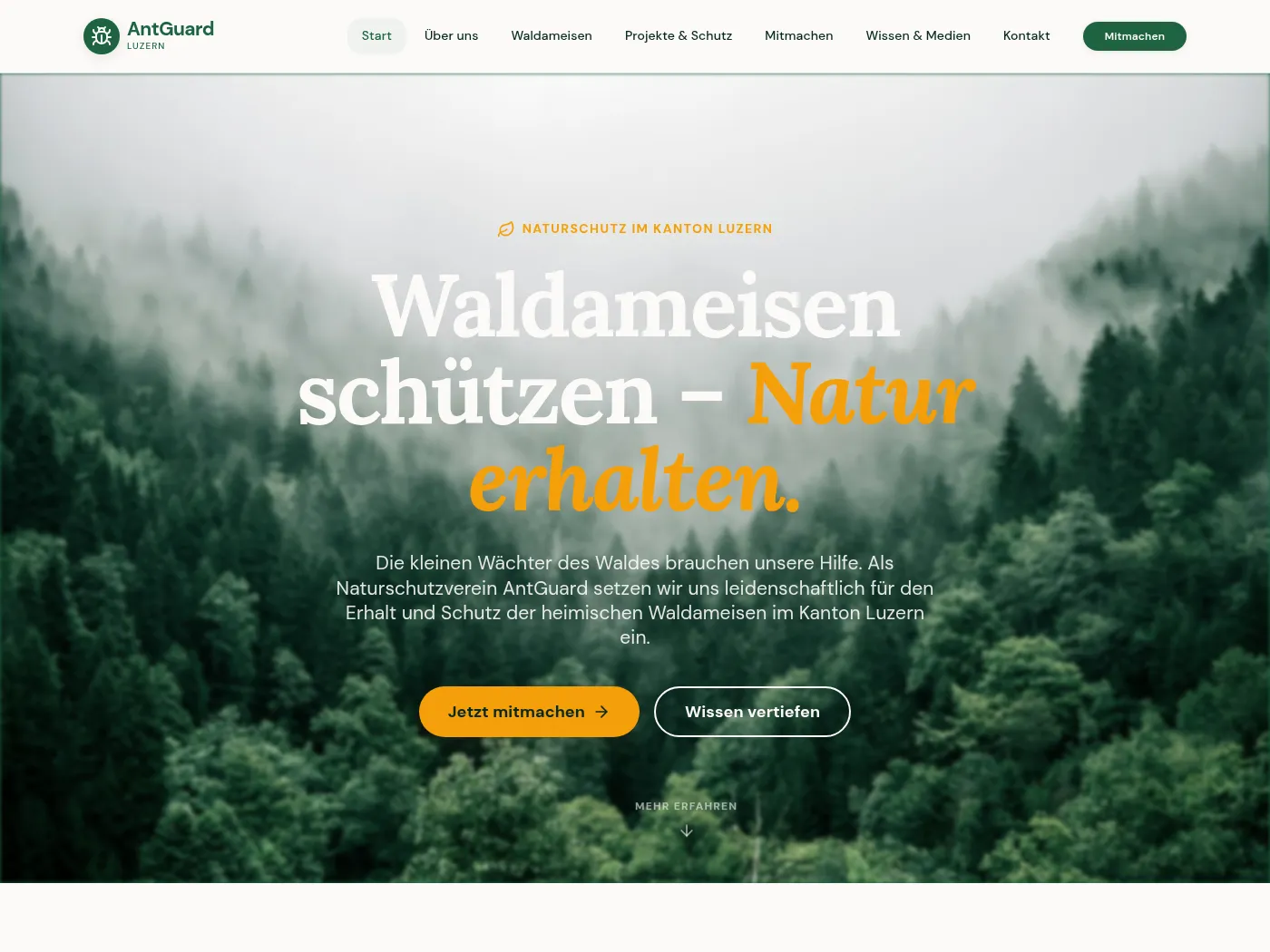 AntGuard Luzern Website