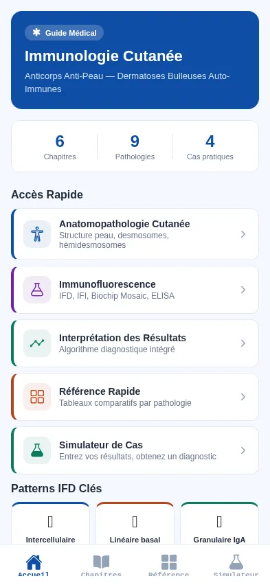 Modèle APK Générateur