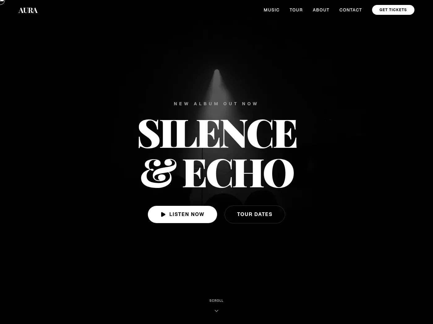 Artist Music Website