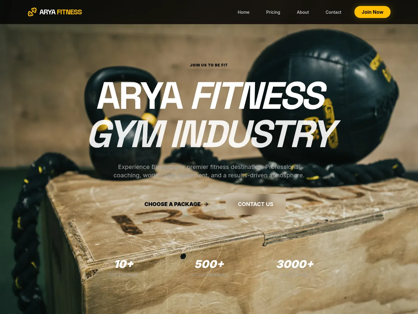 Arya Fitness Gym Site