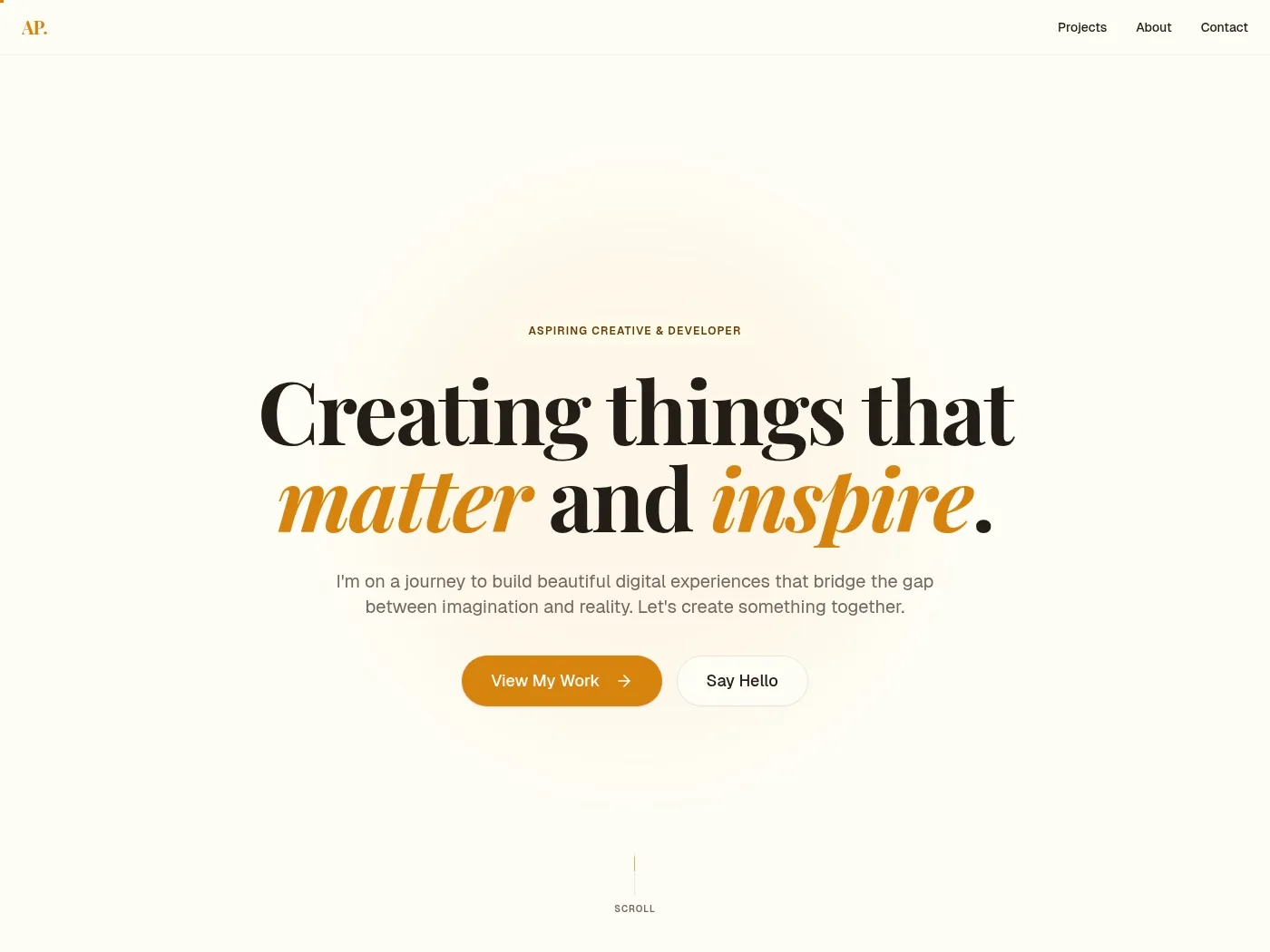 Aspiring Portfolio Page
