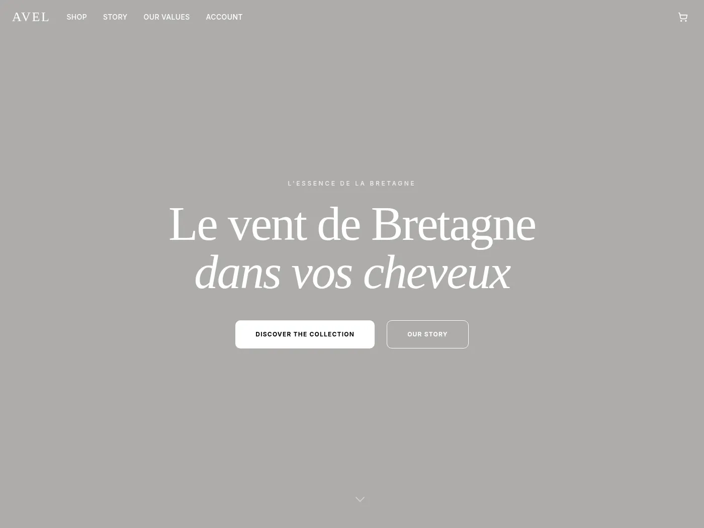 AVEL E-Commerce Experience