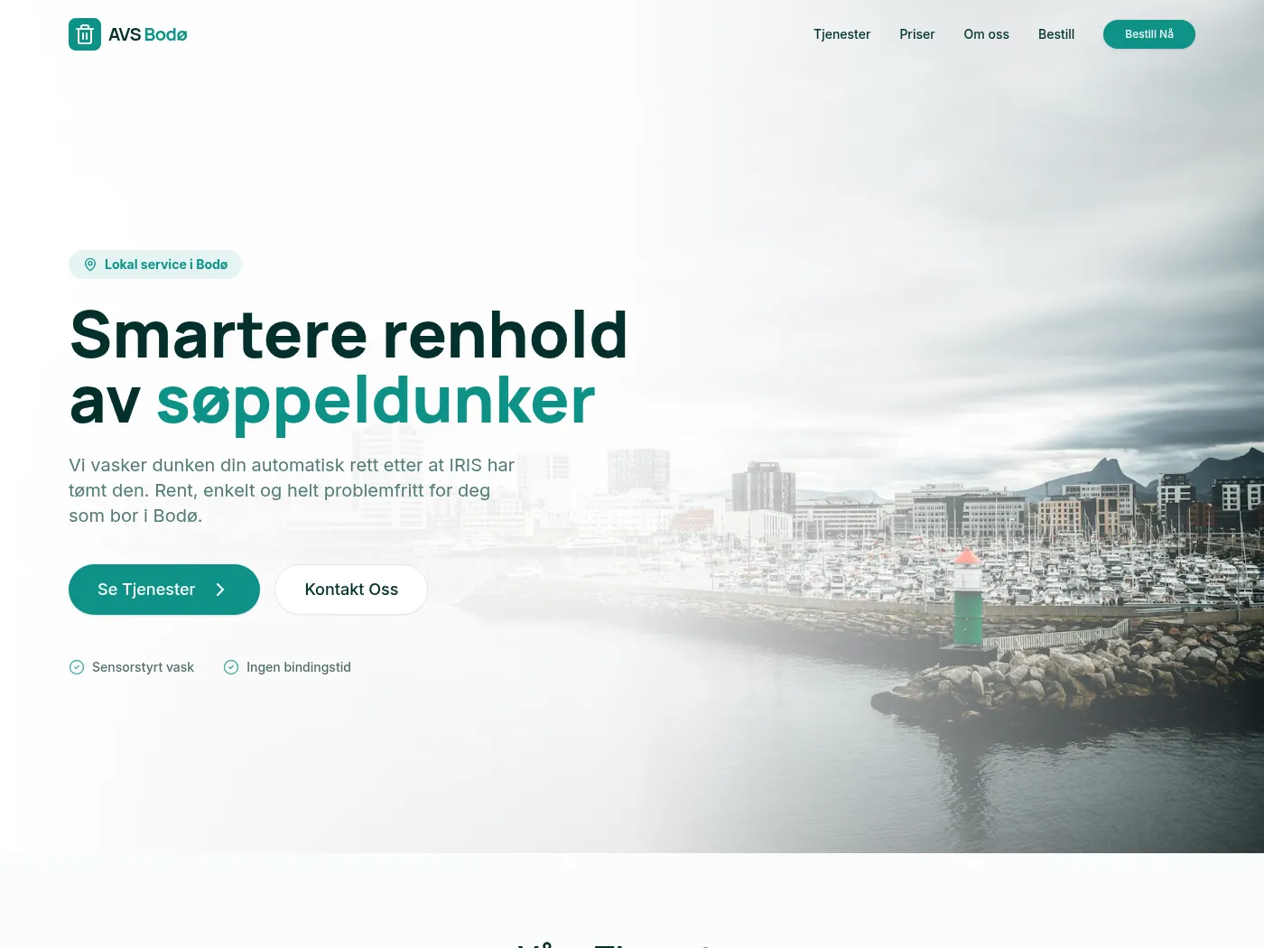 AVS Service Webpage (Remix)