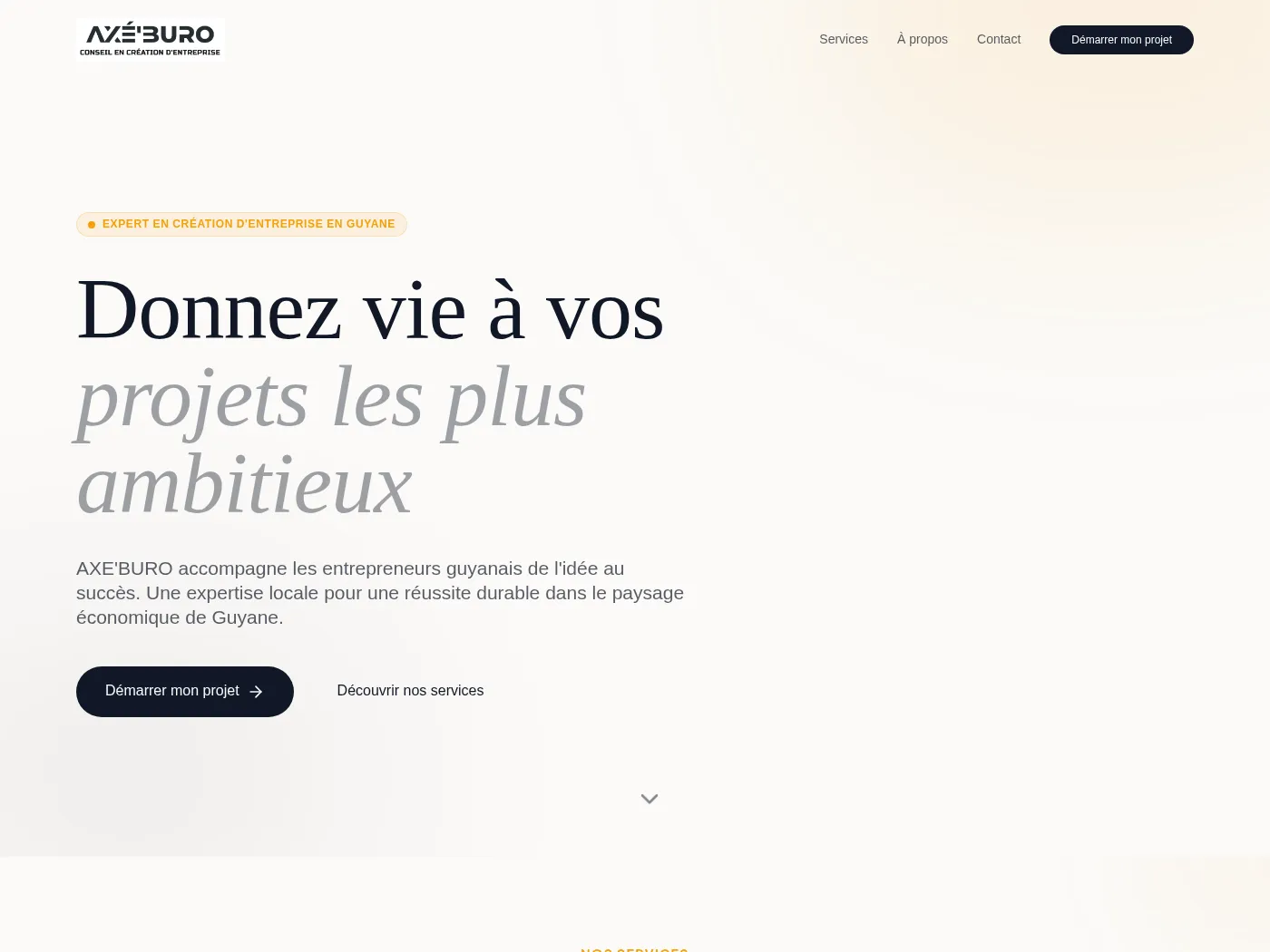 AXE'BURO Consulting Site