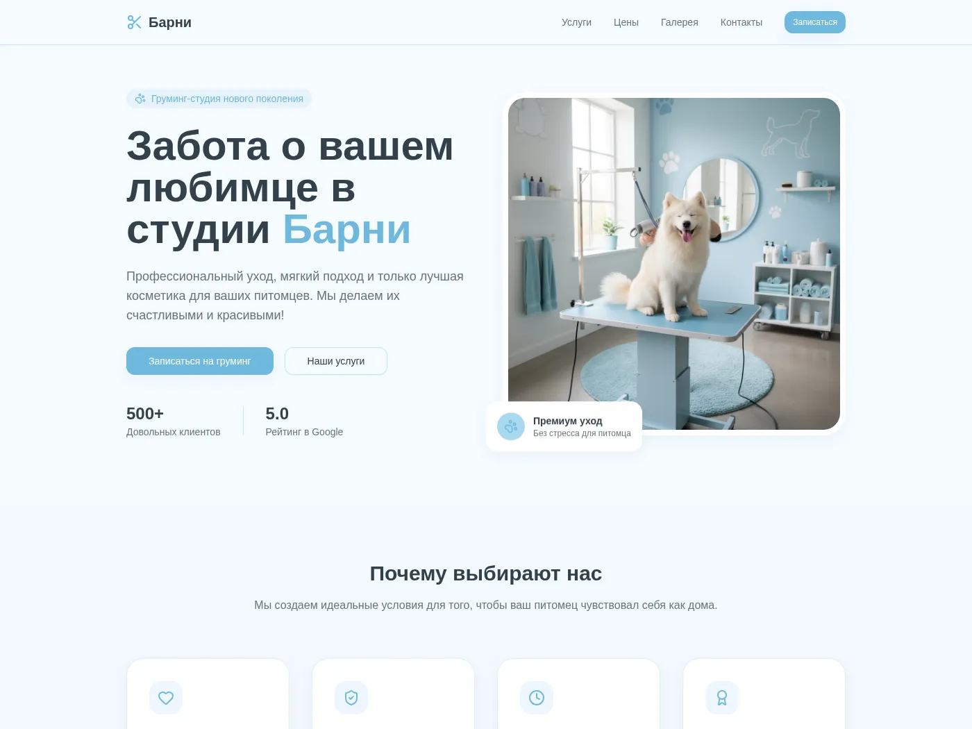 Barni Grooming Landing