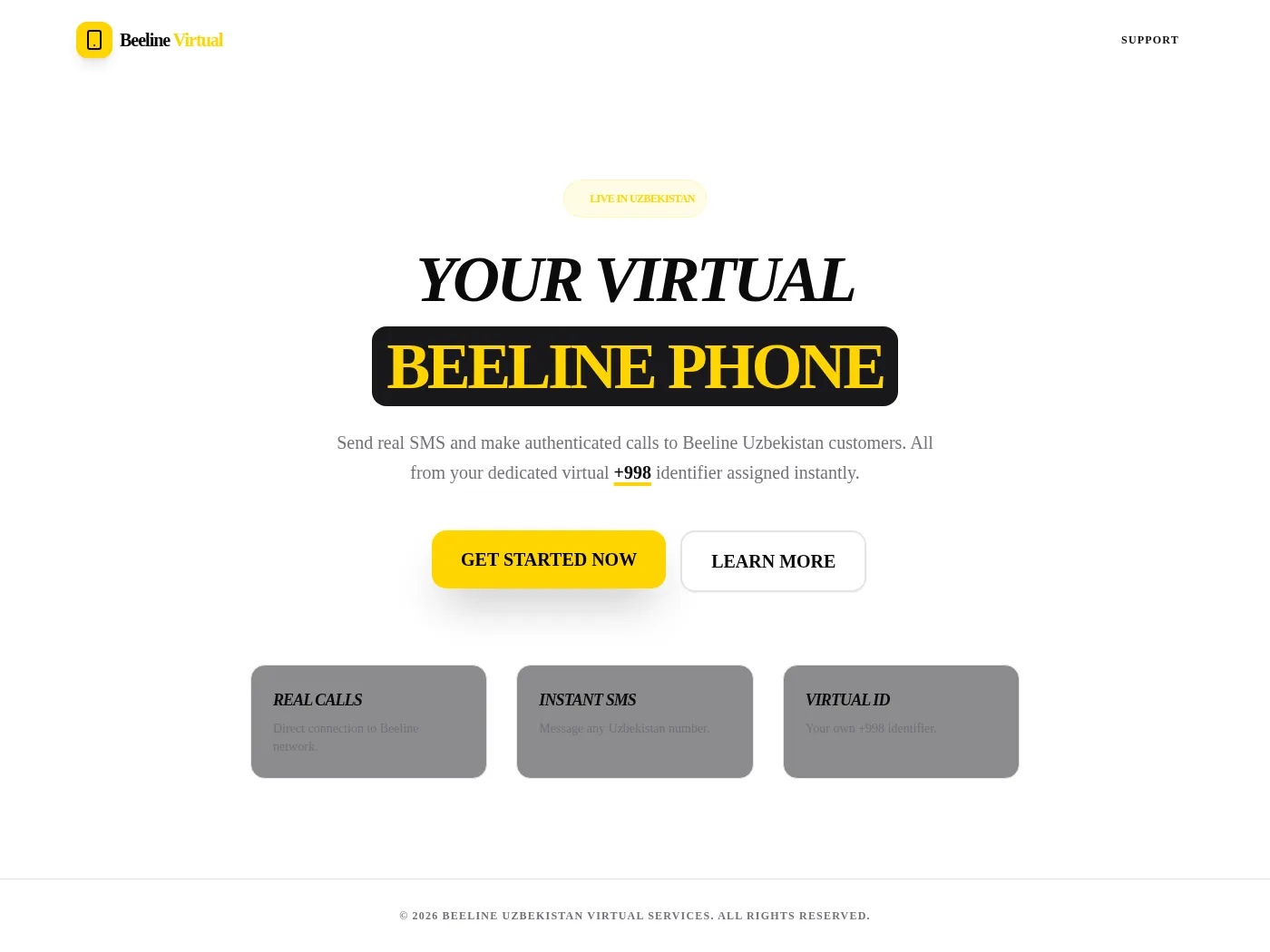 Beeline Virtual Phone
