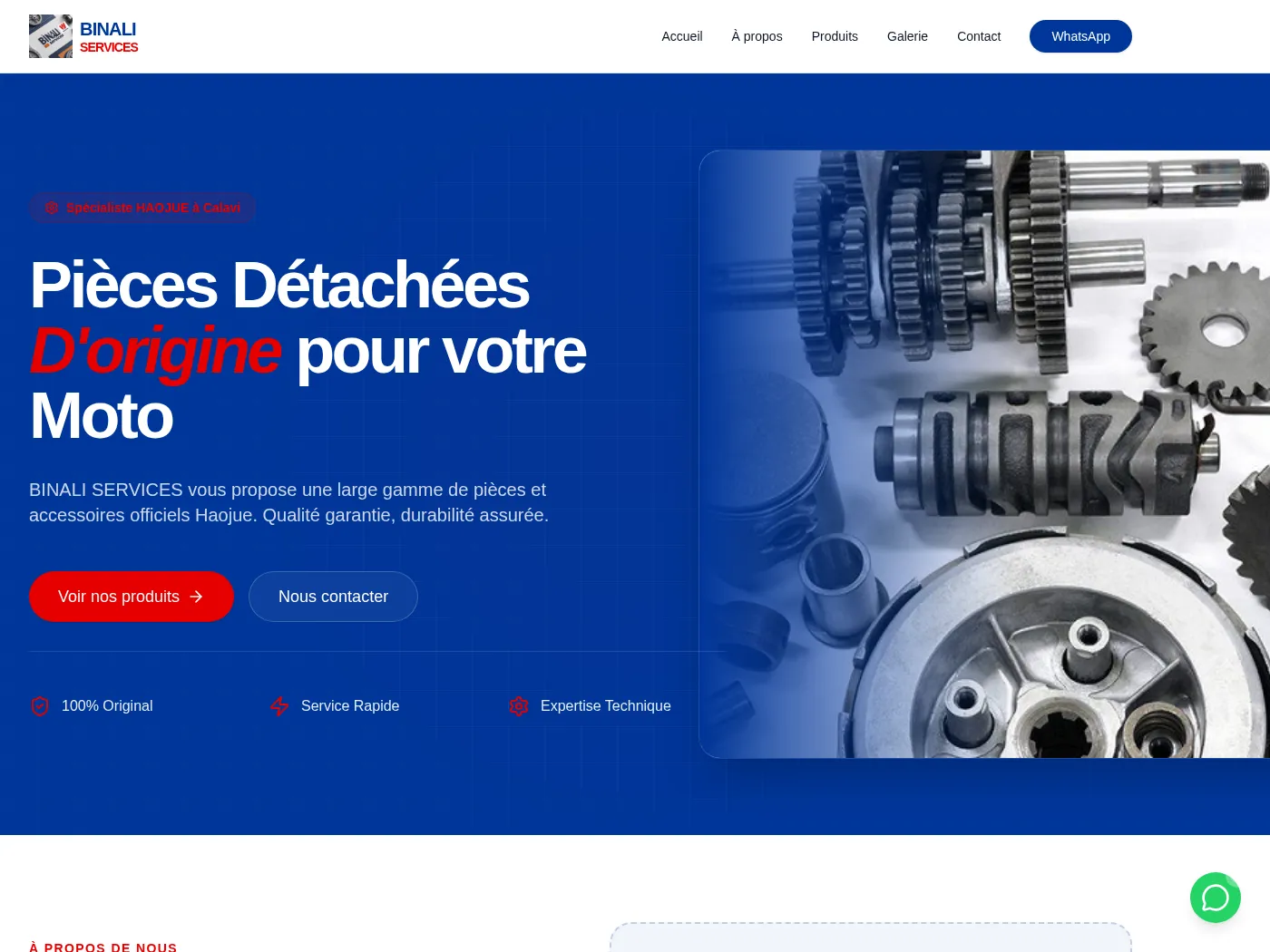 Binali Services Web