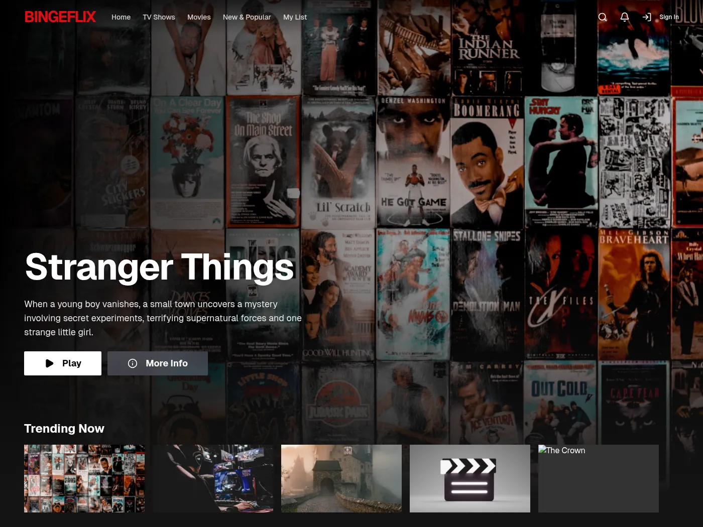 Bingeflix Streaming App