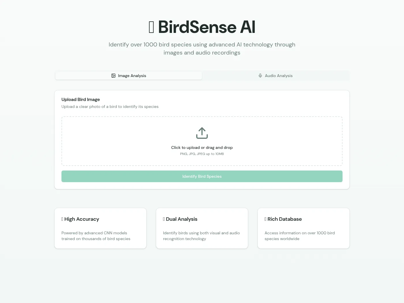 BirdSense Identifier