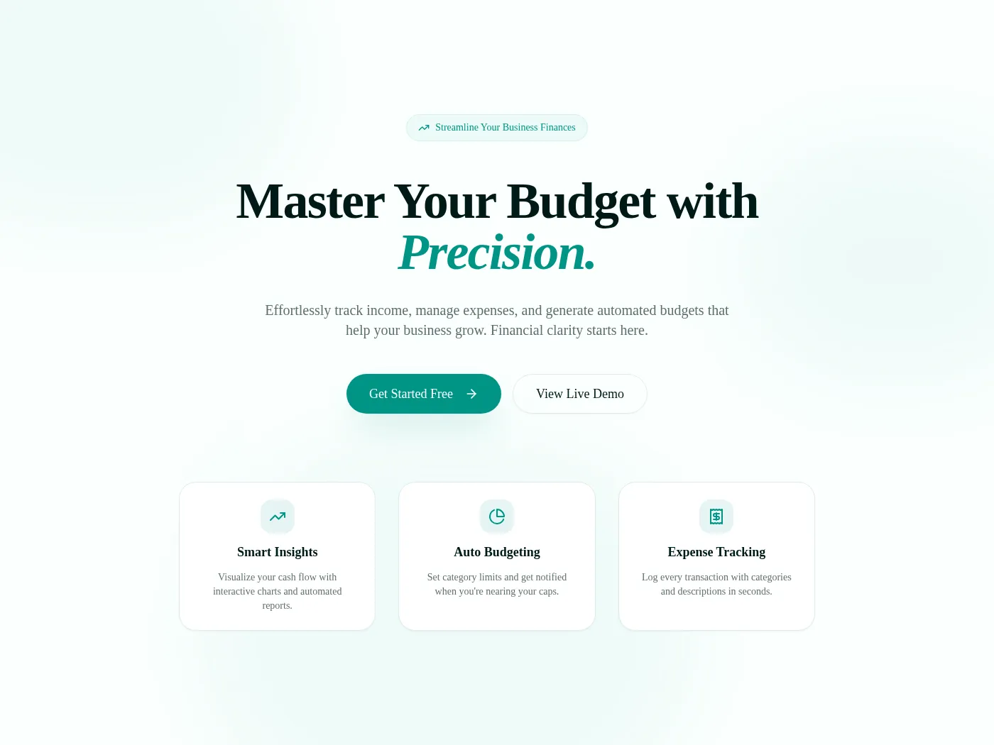 BizBudget Tracker