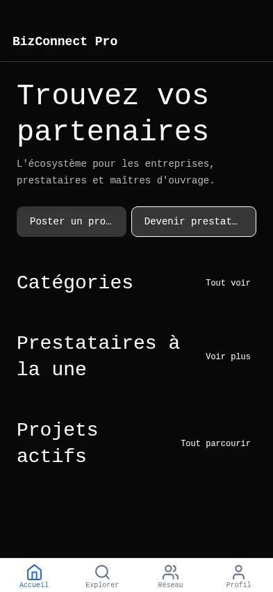 BizConnect Pro