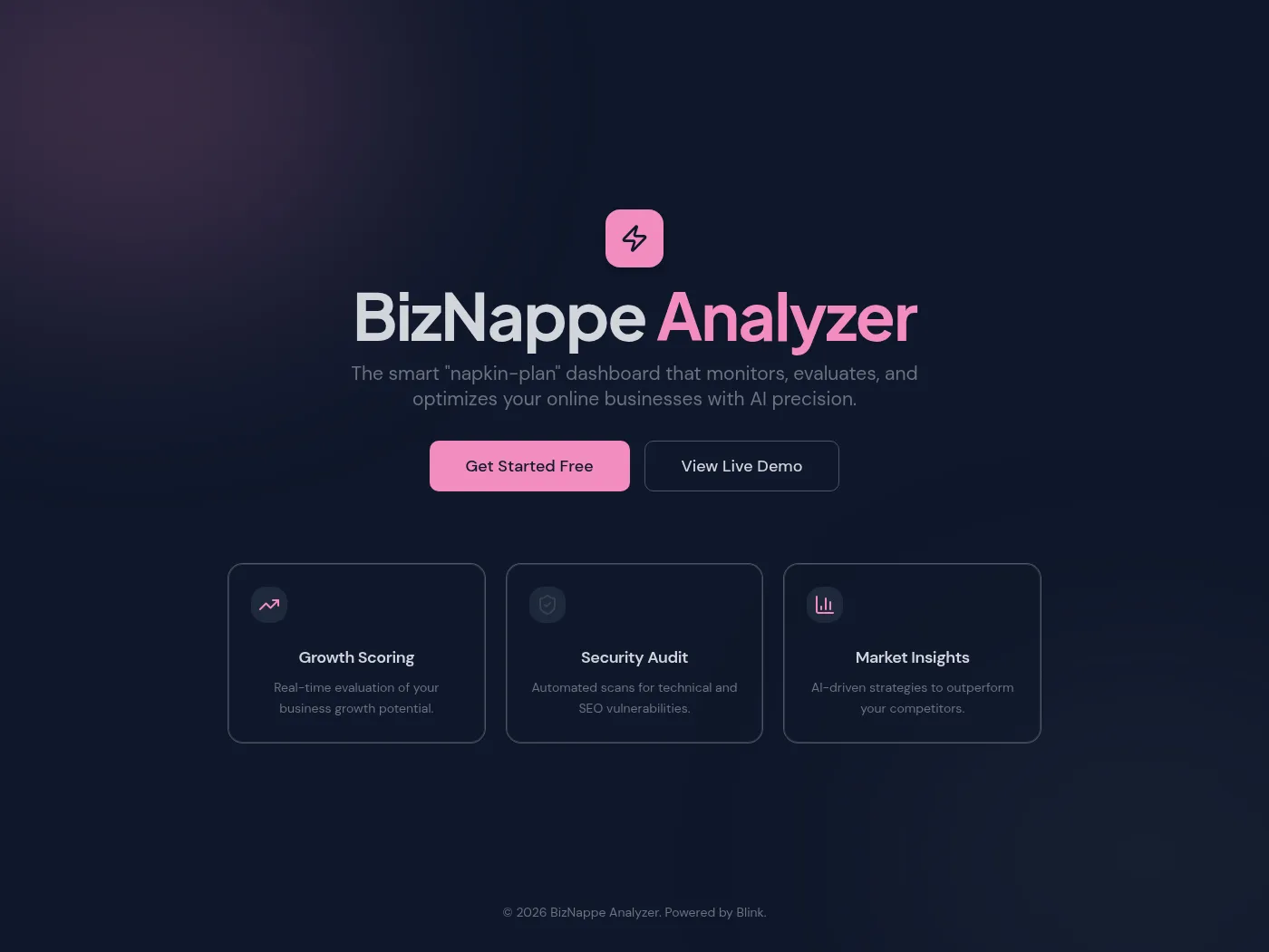 BizNappe Analyzer