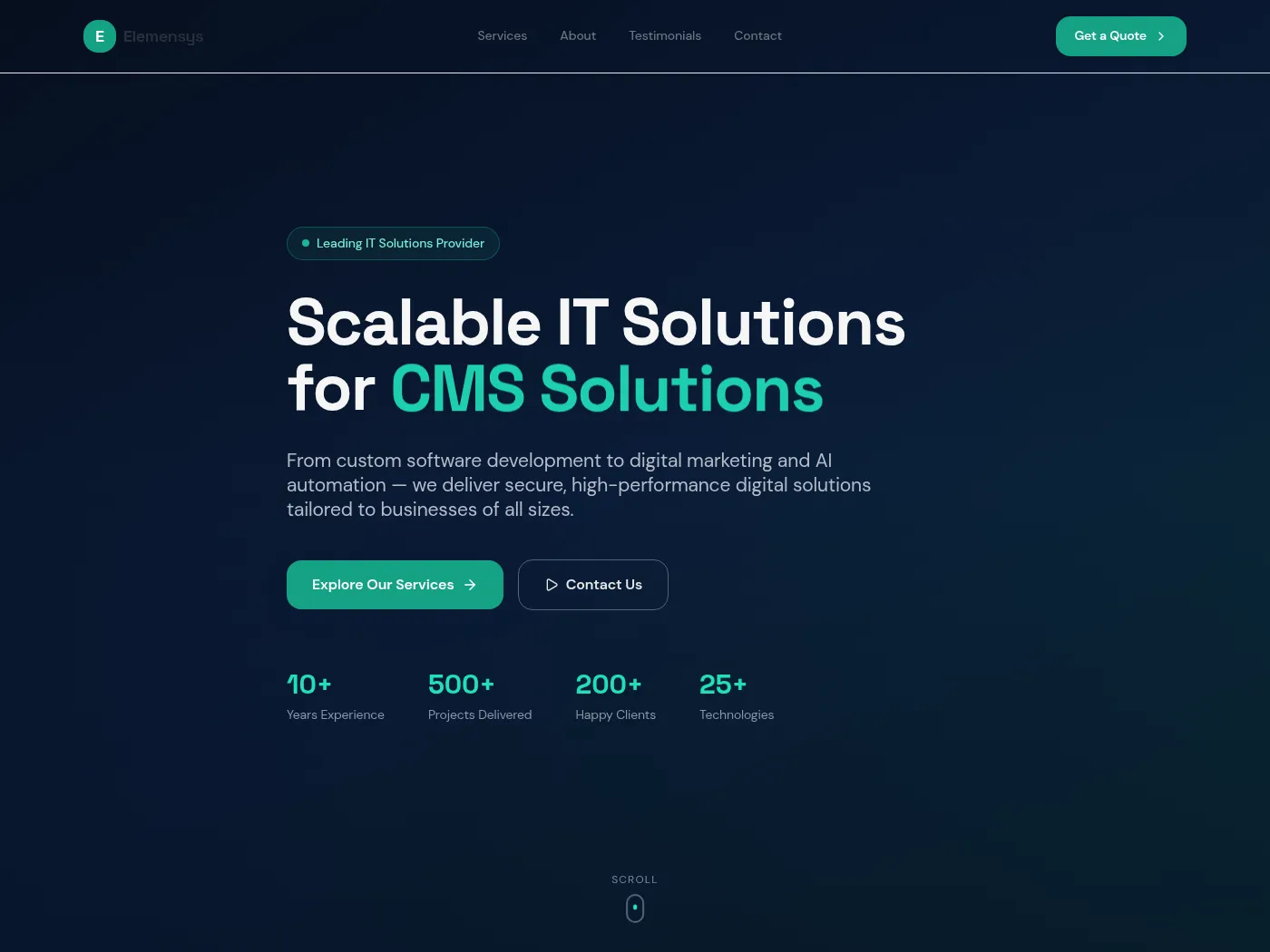 BizWeb Launchpad
