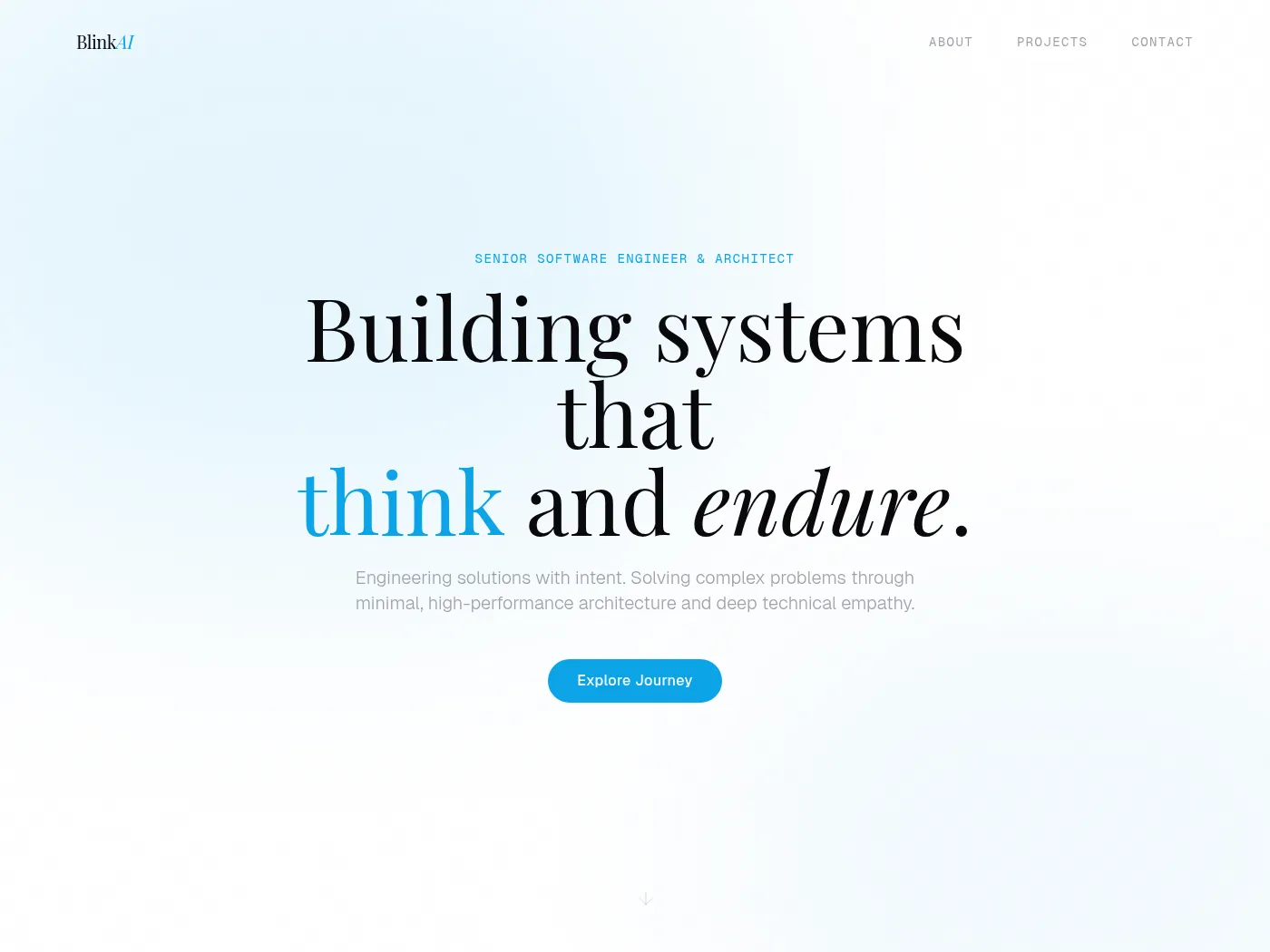 Blink AI Portfolio