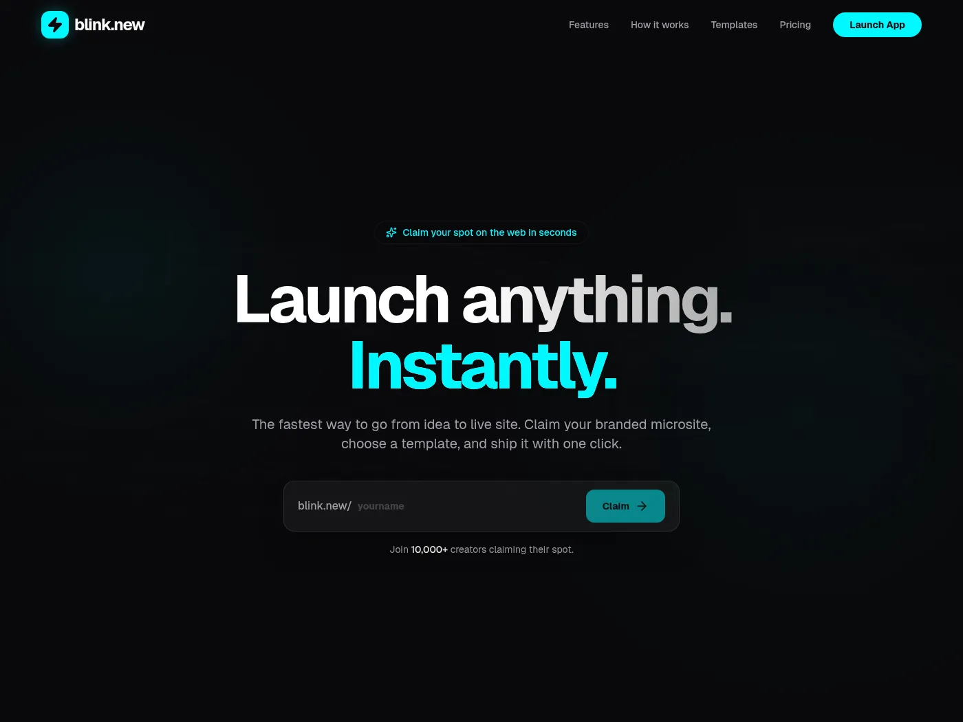 Blink New Landing