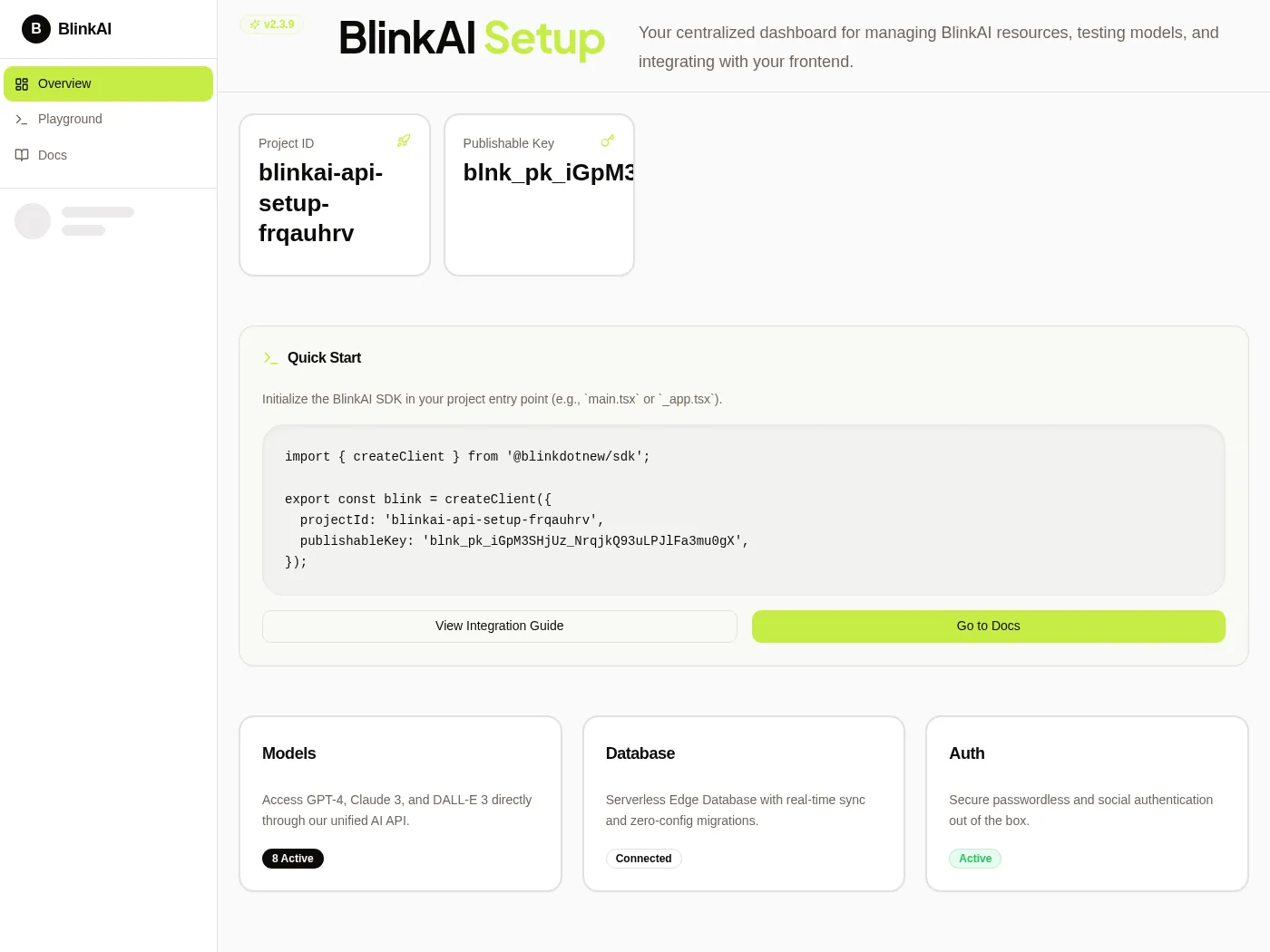 BlinkAI API Setup