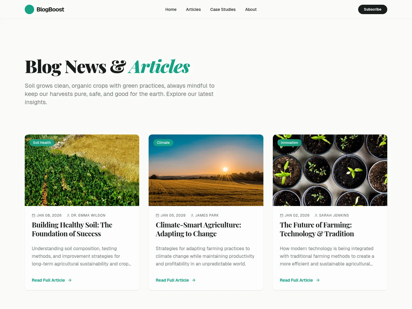 BlogBoost Redesign