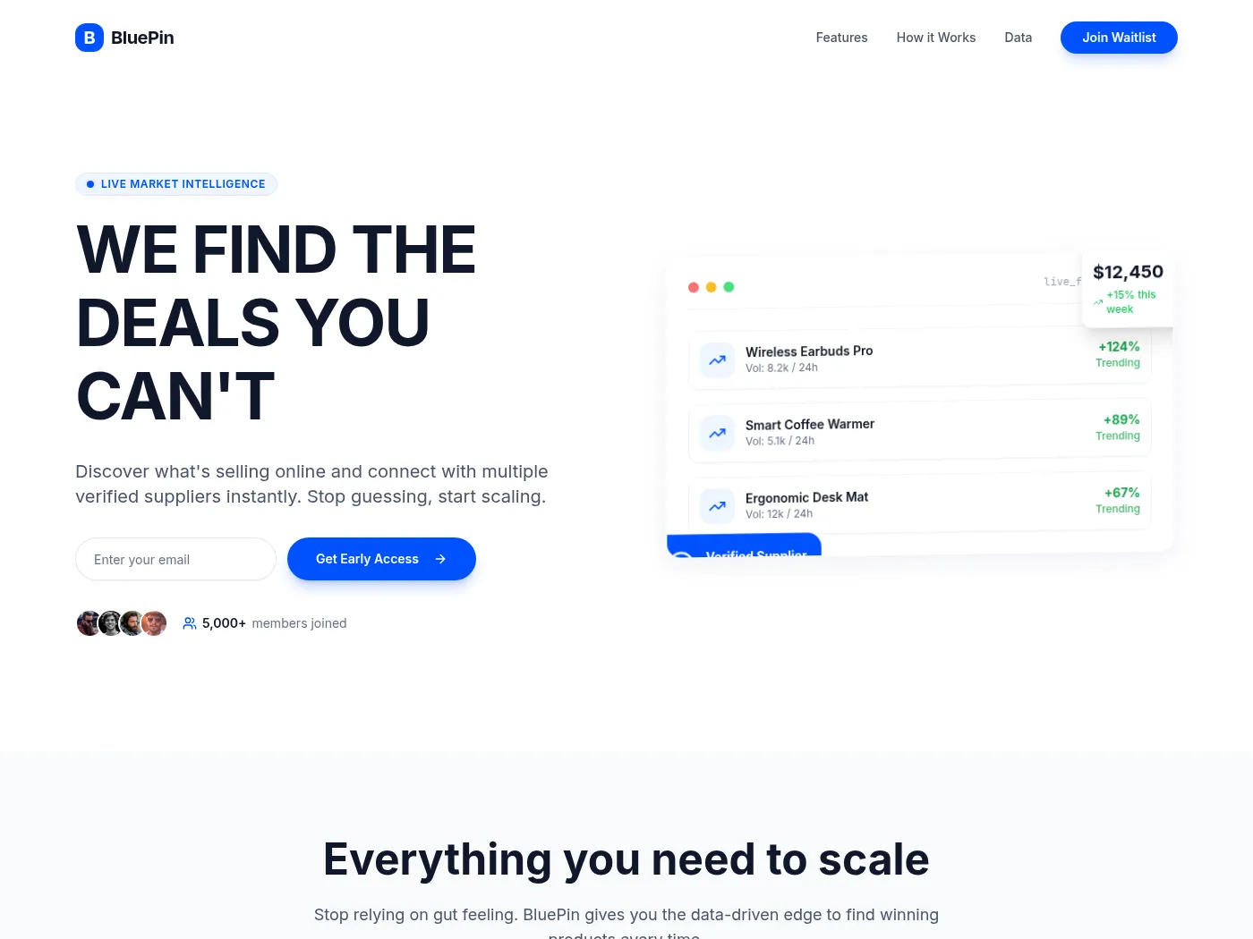 BluePin SaaS Landing Page