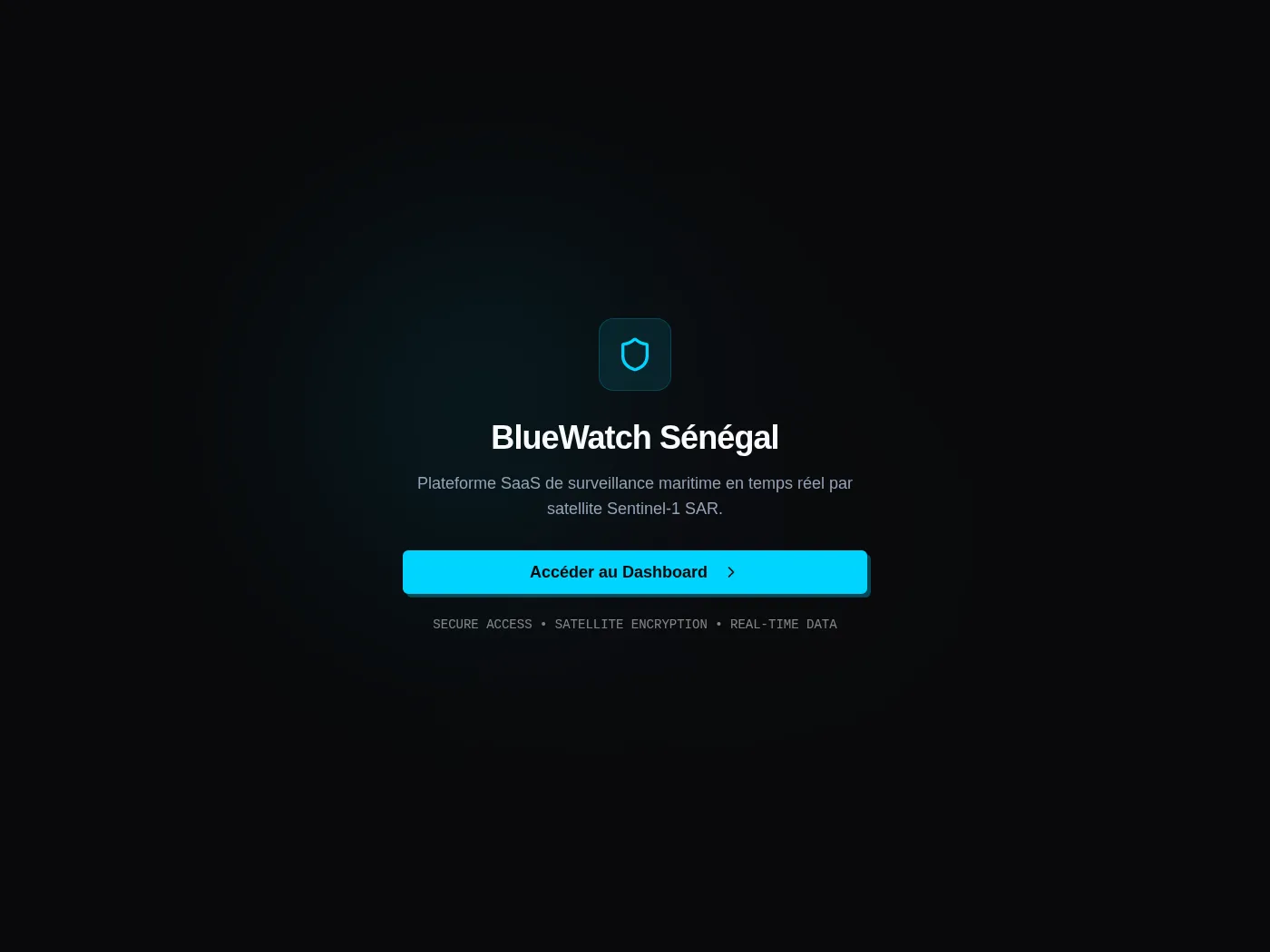 BlueWatch Sénégal