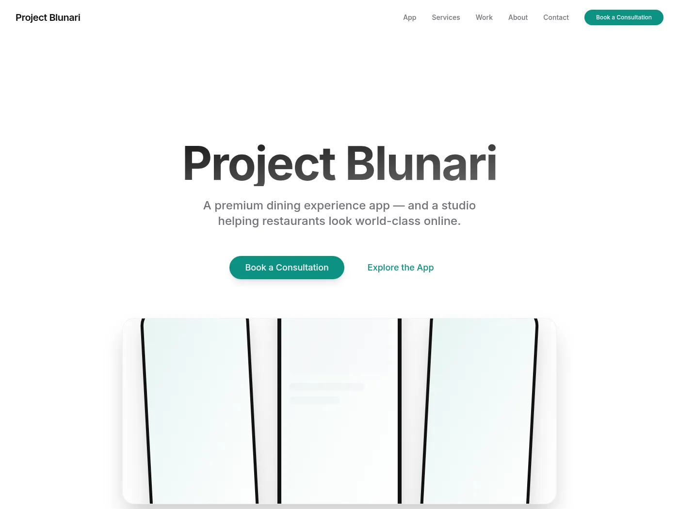 Project Blunari Website