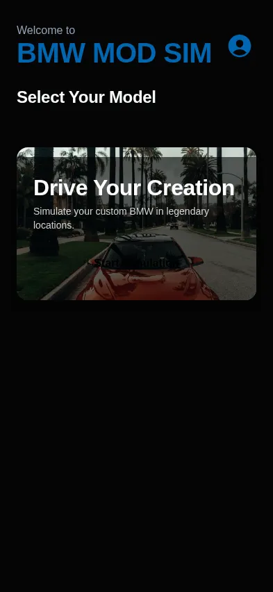 BMW Mod Sim Drive