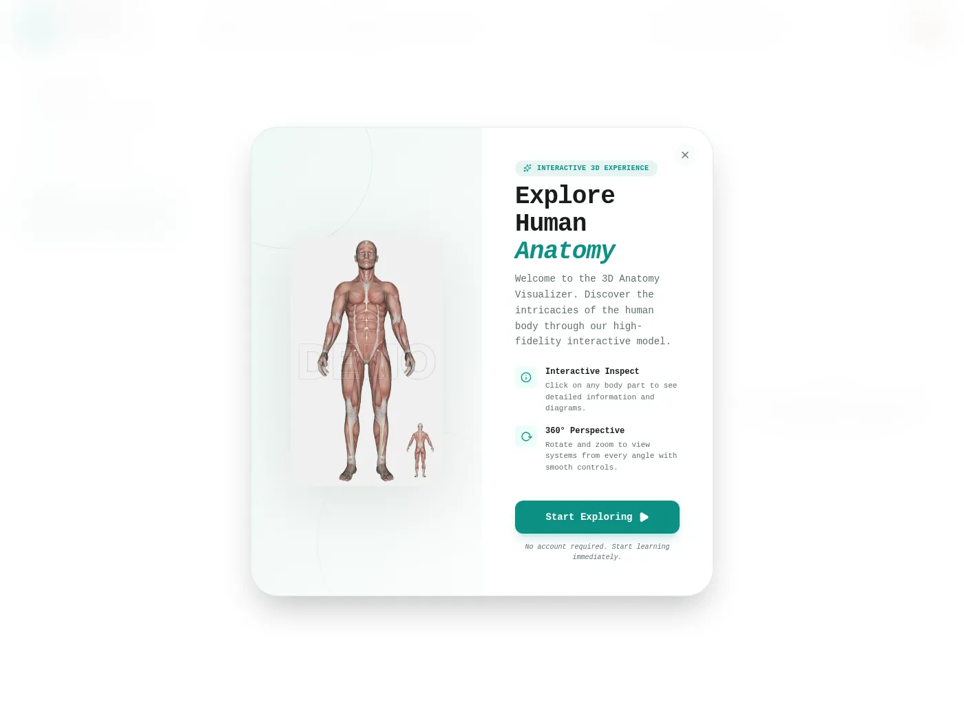 Body 3D Anatomy Visualizer