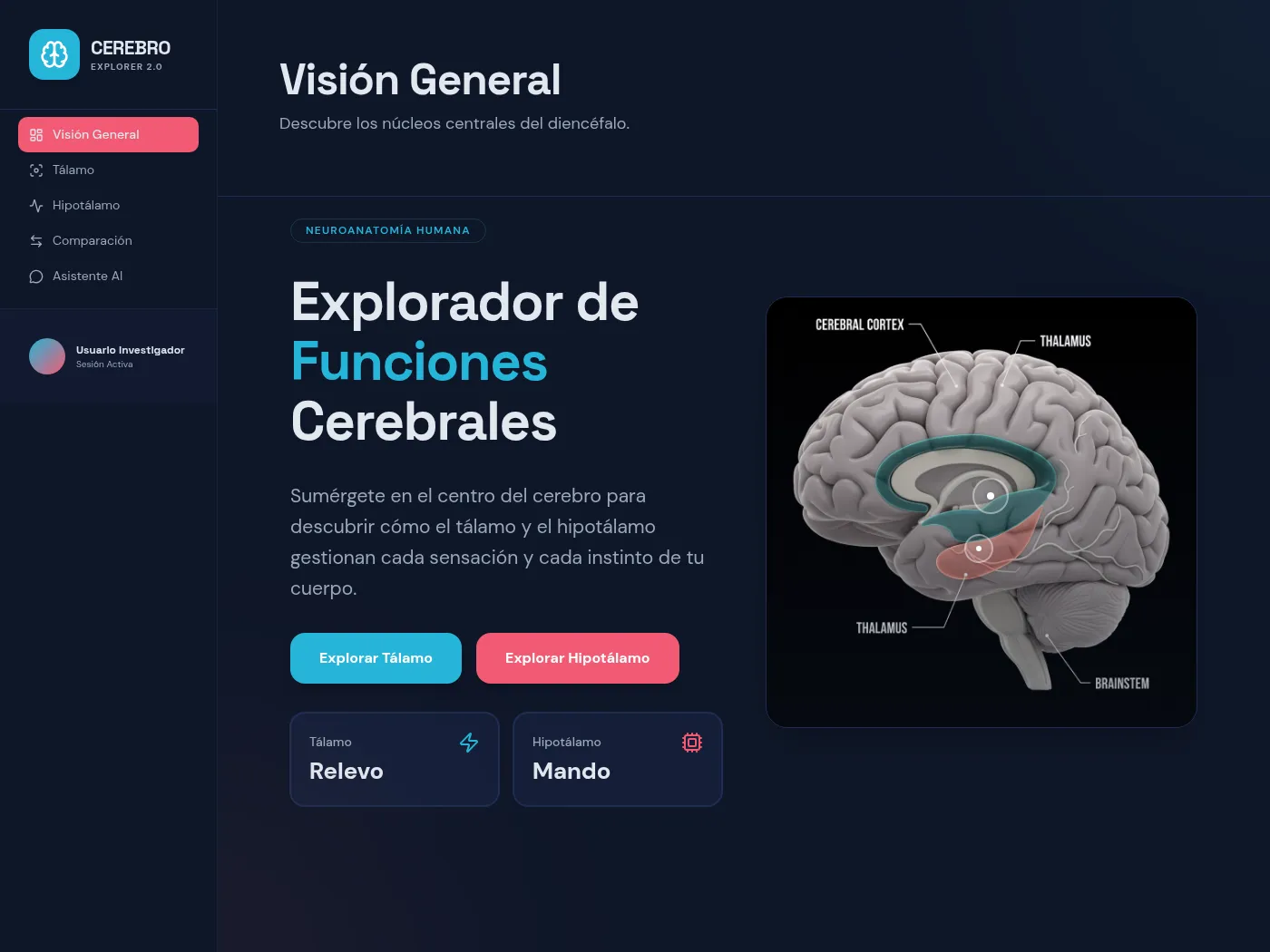 Brain Function Explorer