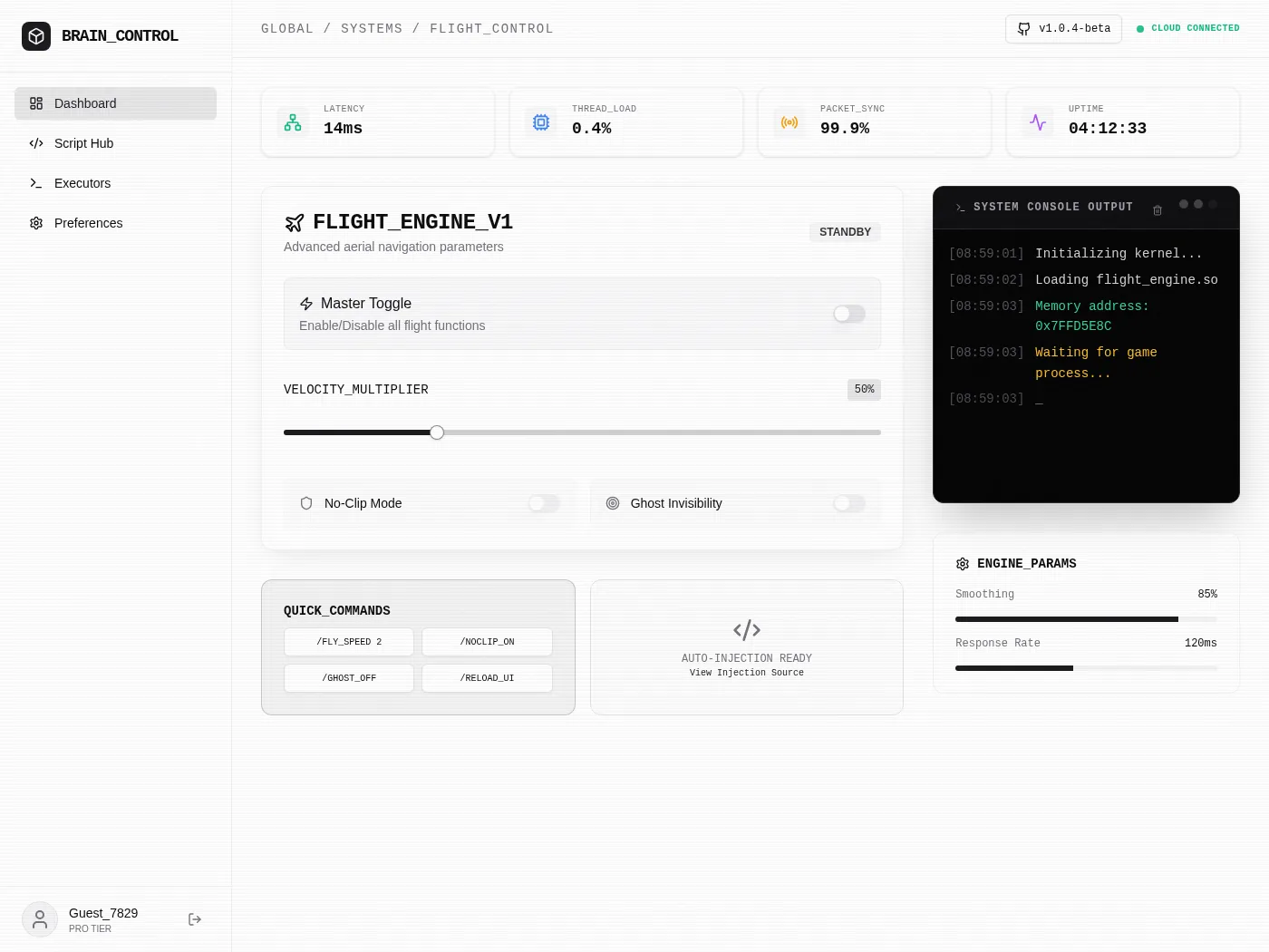 Brainerout Flight Script