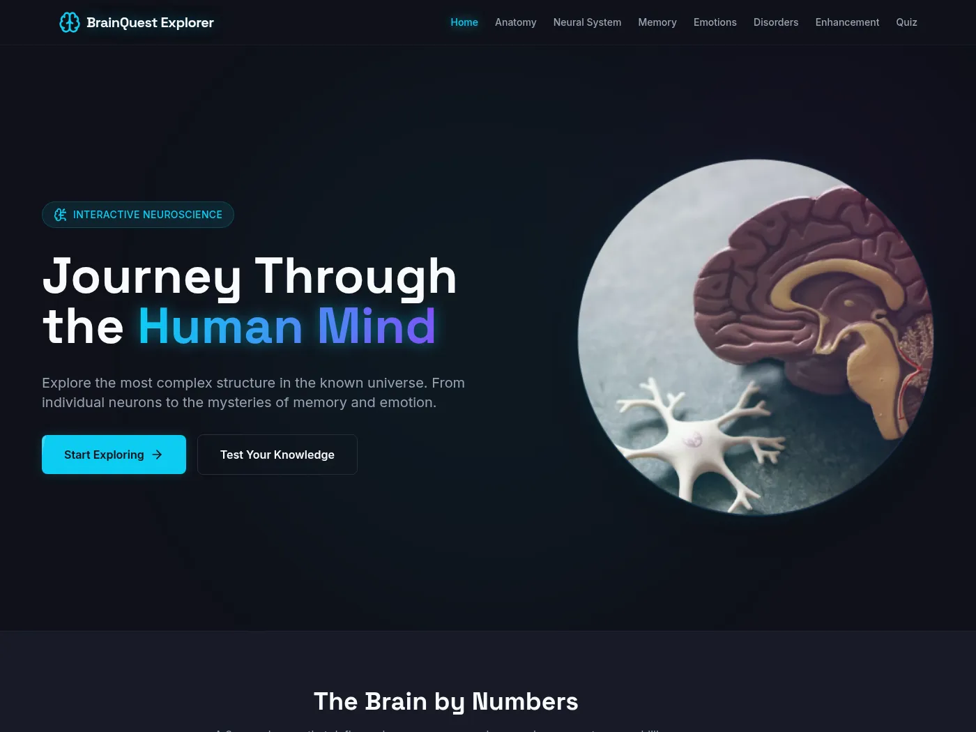 BrainQuest Explorer