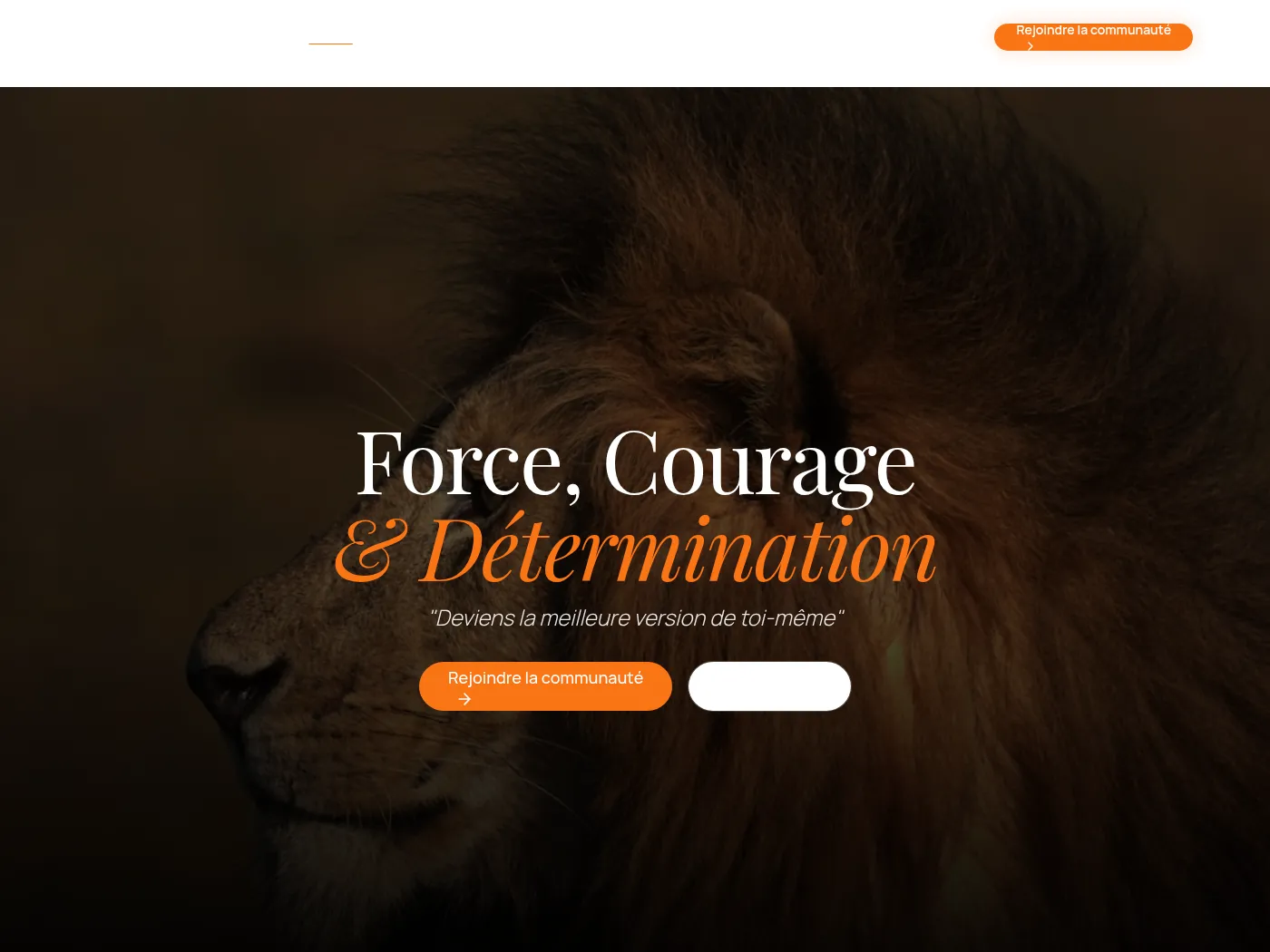 Brave House Web Portal