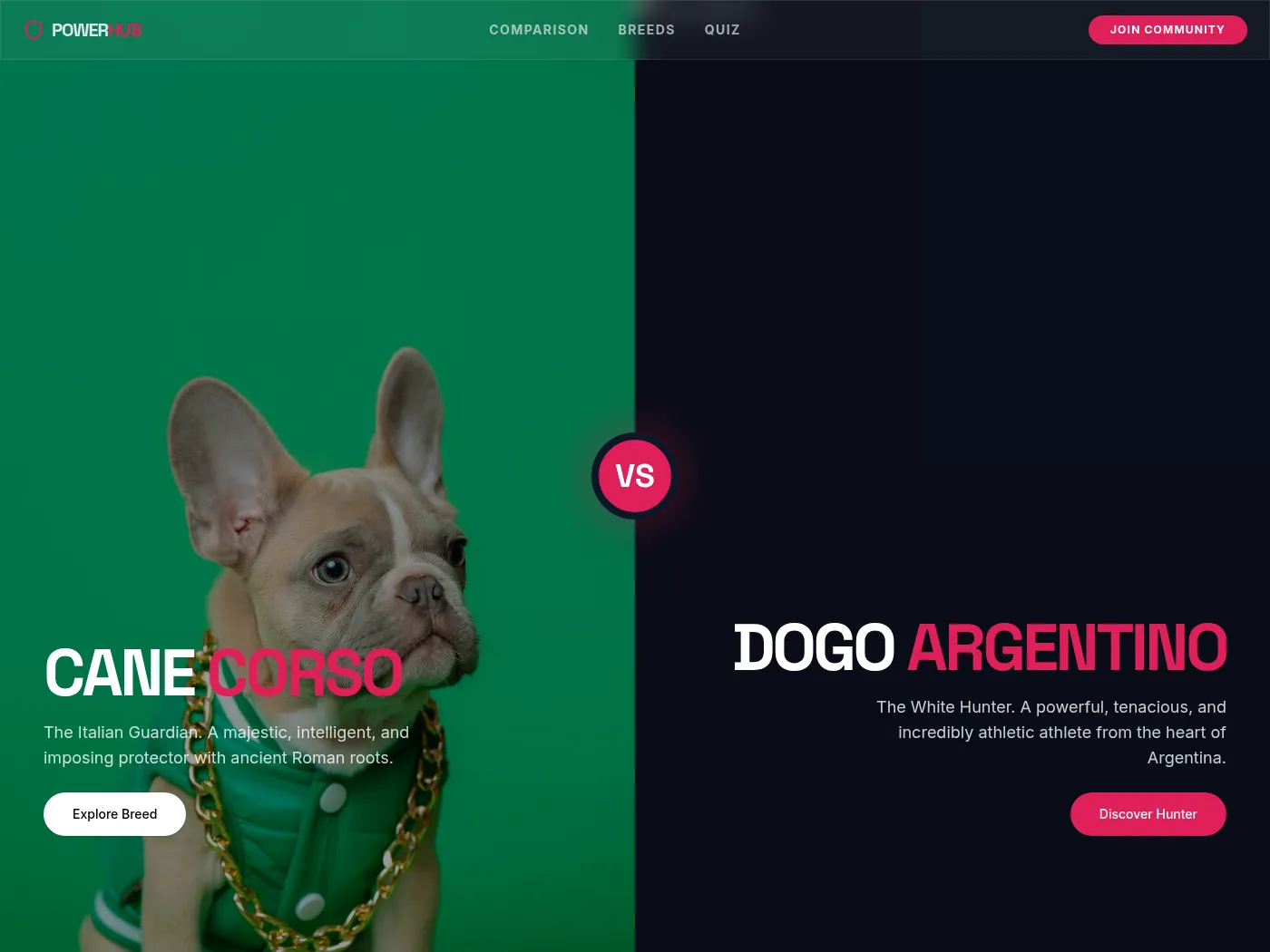 Cane Corso vs Dogo Hub