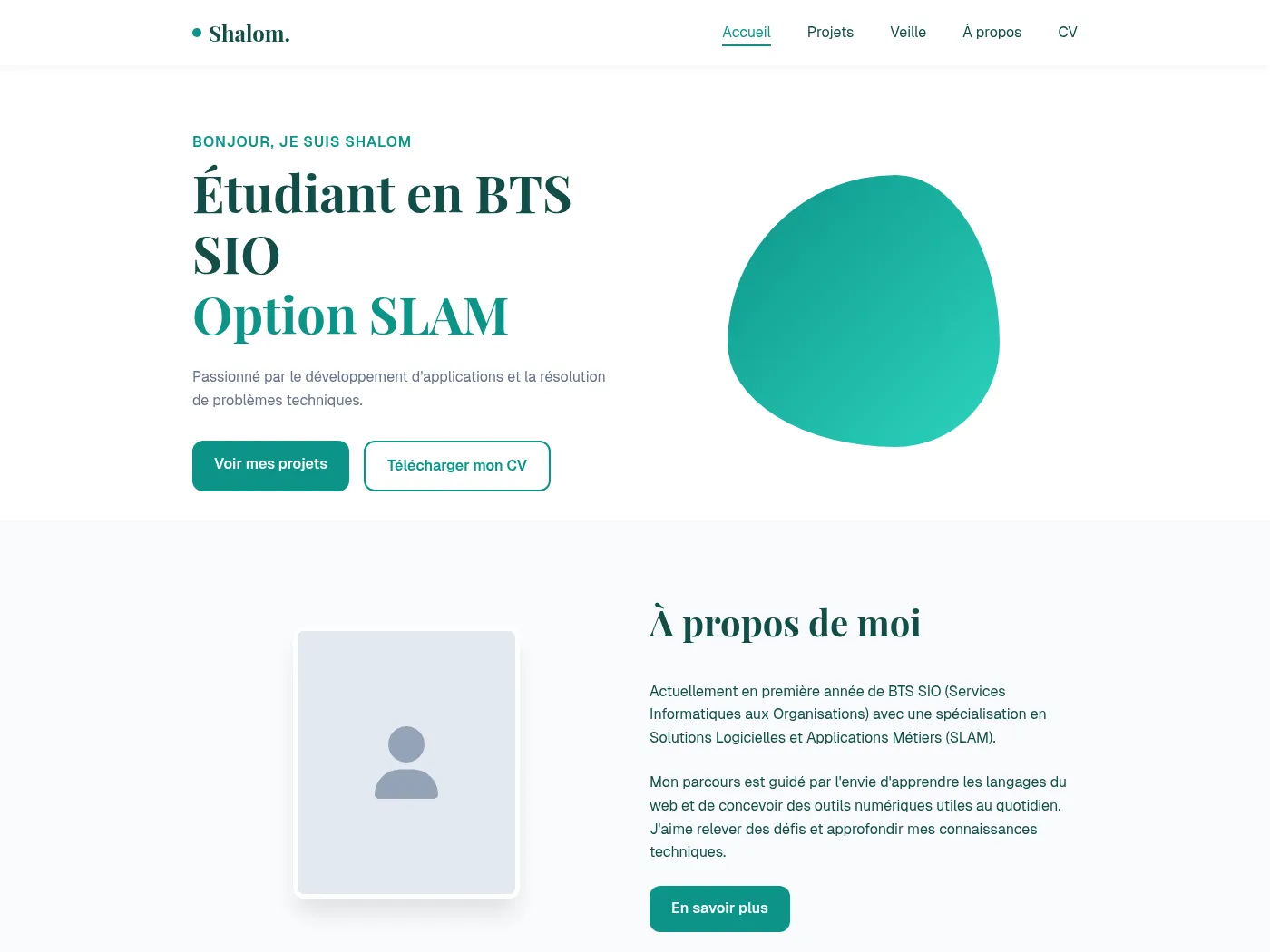 Shalom Portfolio Starter