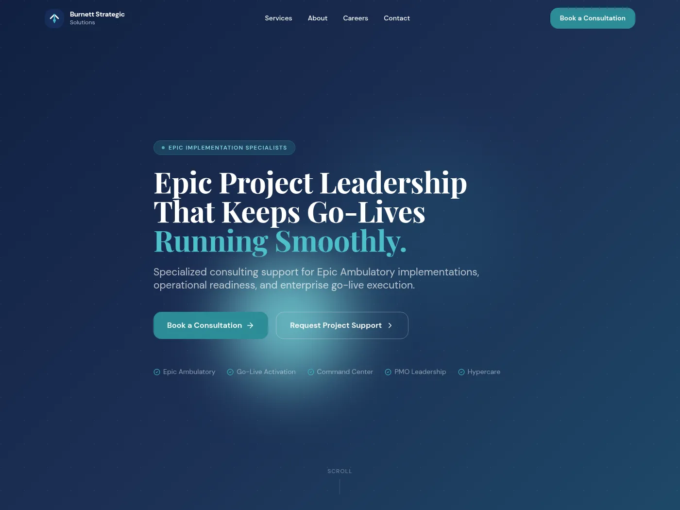Burnett Strategic Solutions Site