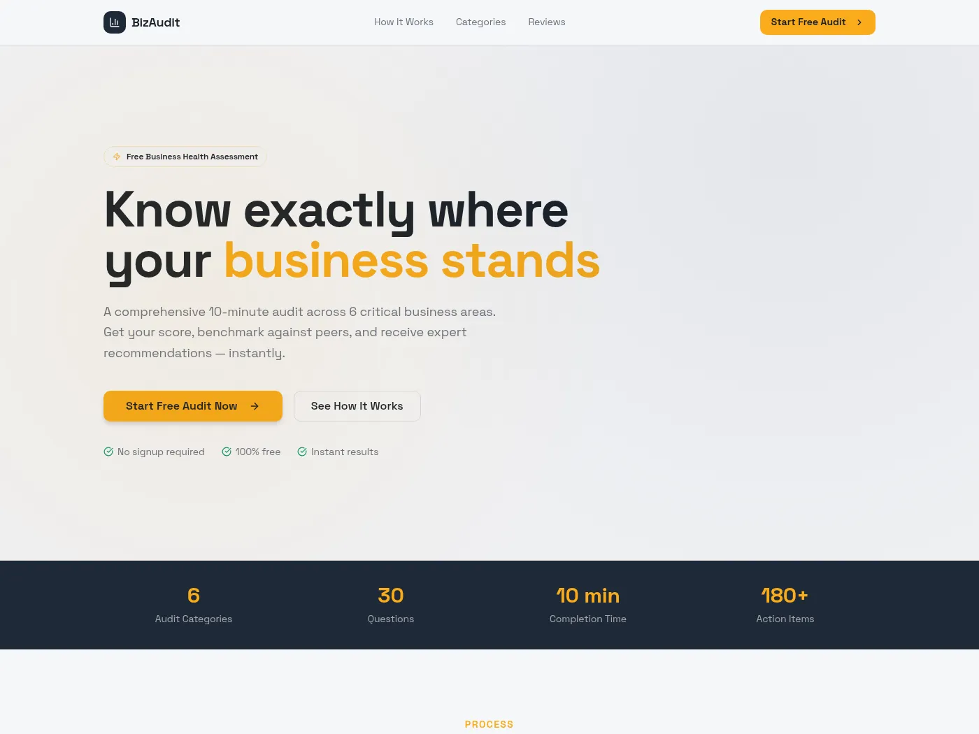 BizAudit Portal