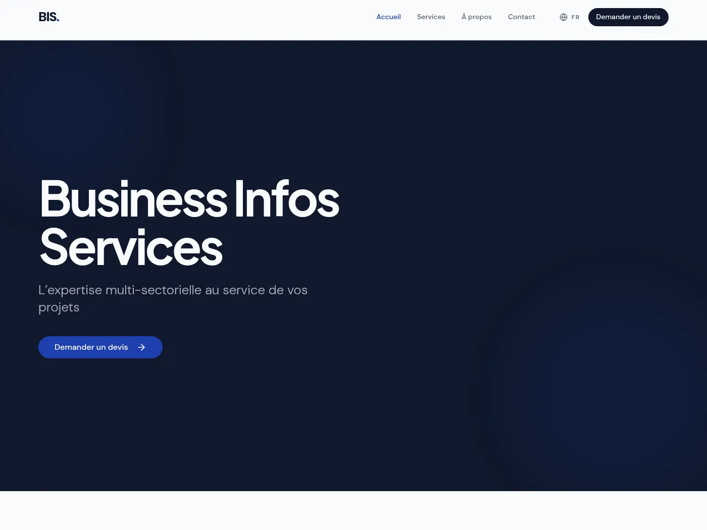 Business Infos Services Site