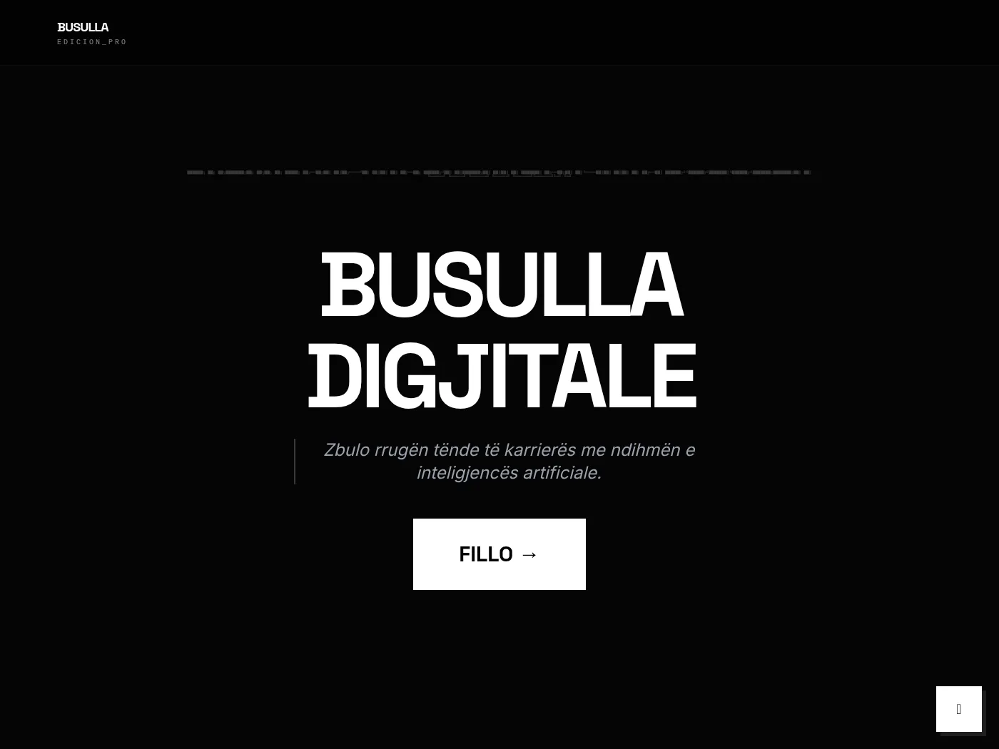 Busulla Career Guide