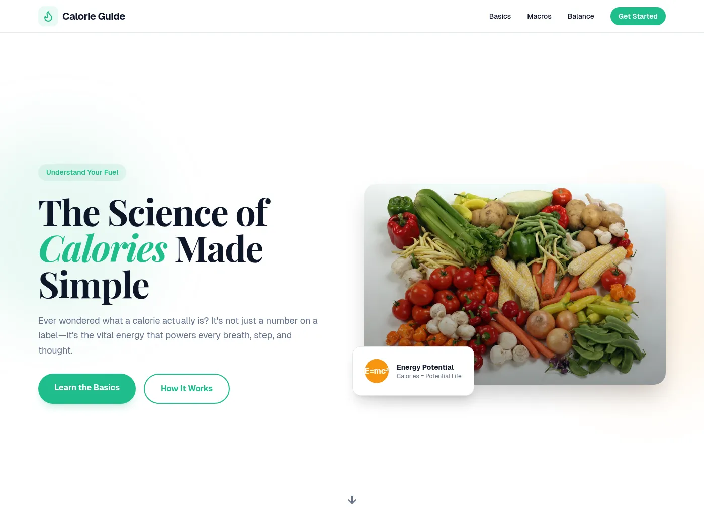 Calorie Basics Site