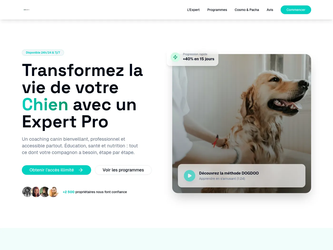 dogdoo