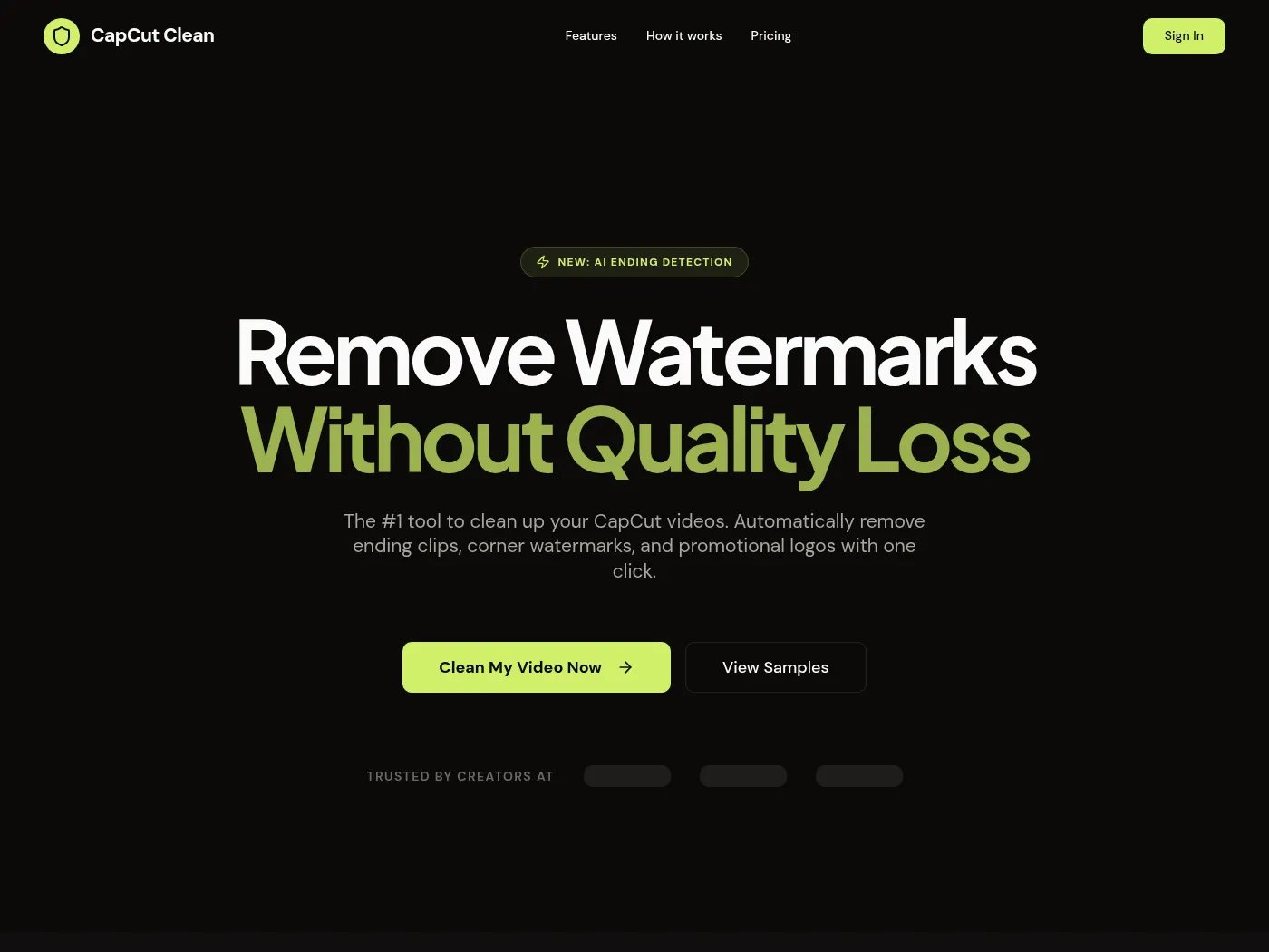 Capcut Watermark Remover