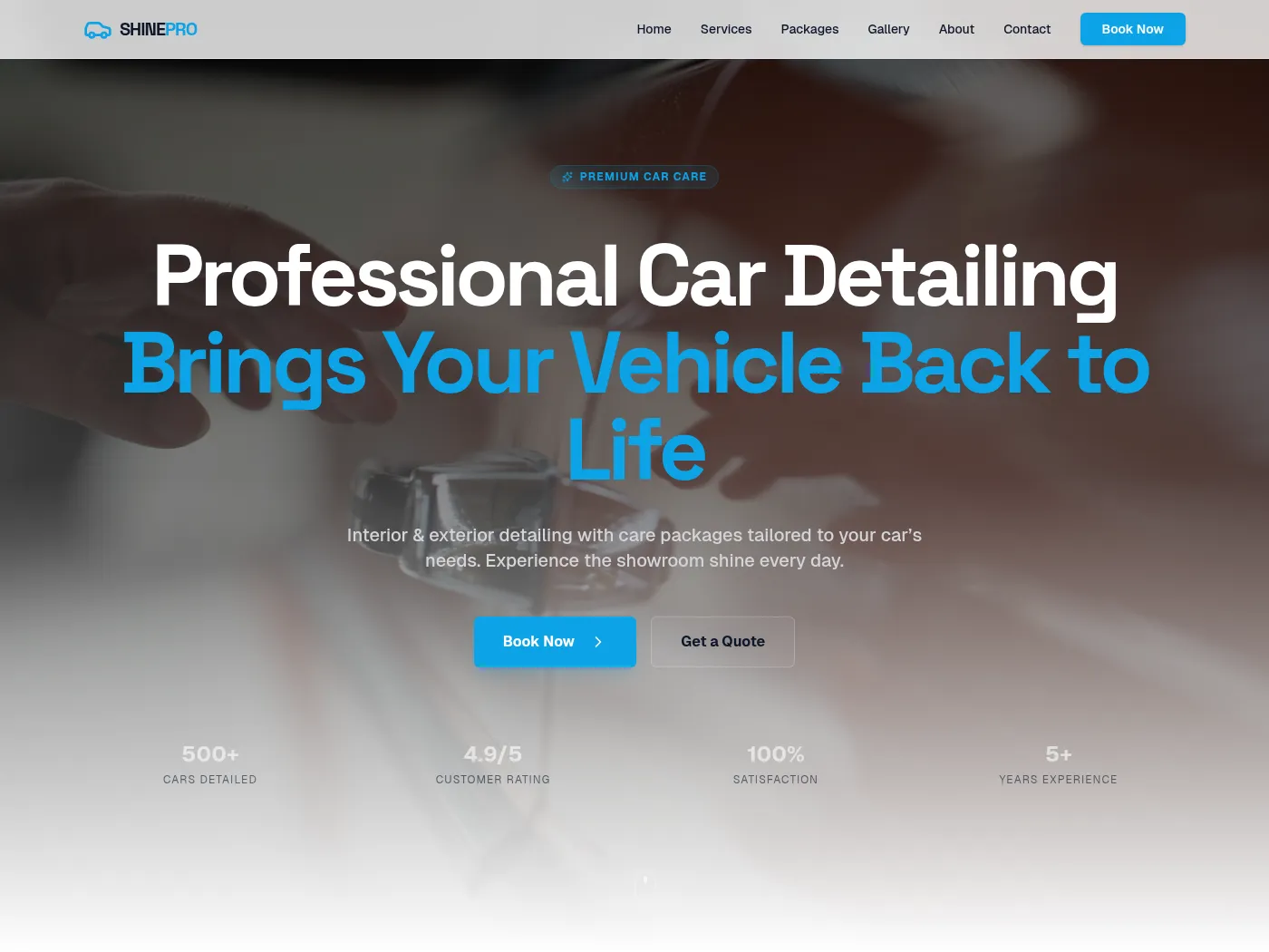 ShinePro Detailing Homepage