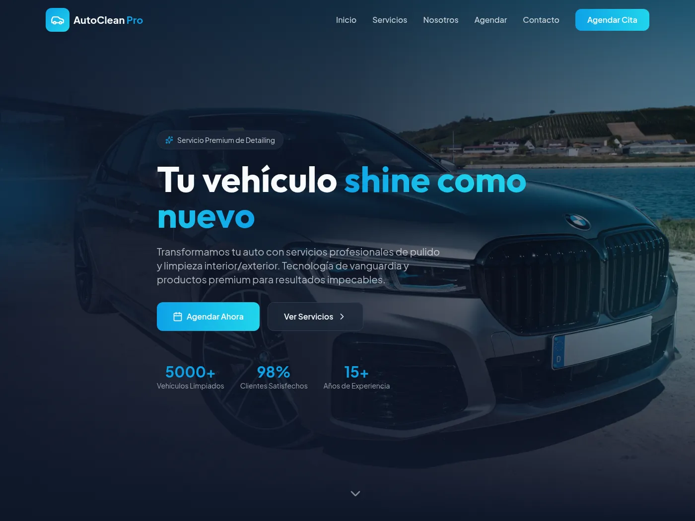 AutoClean Pro Website