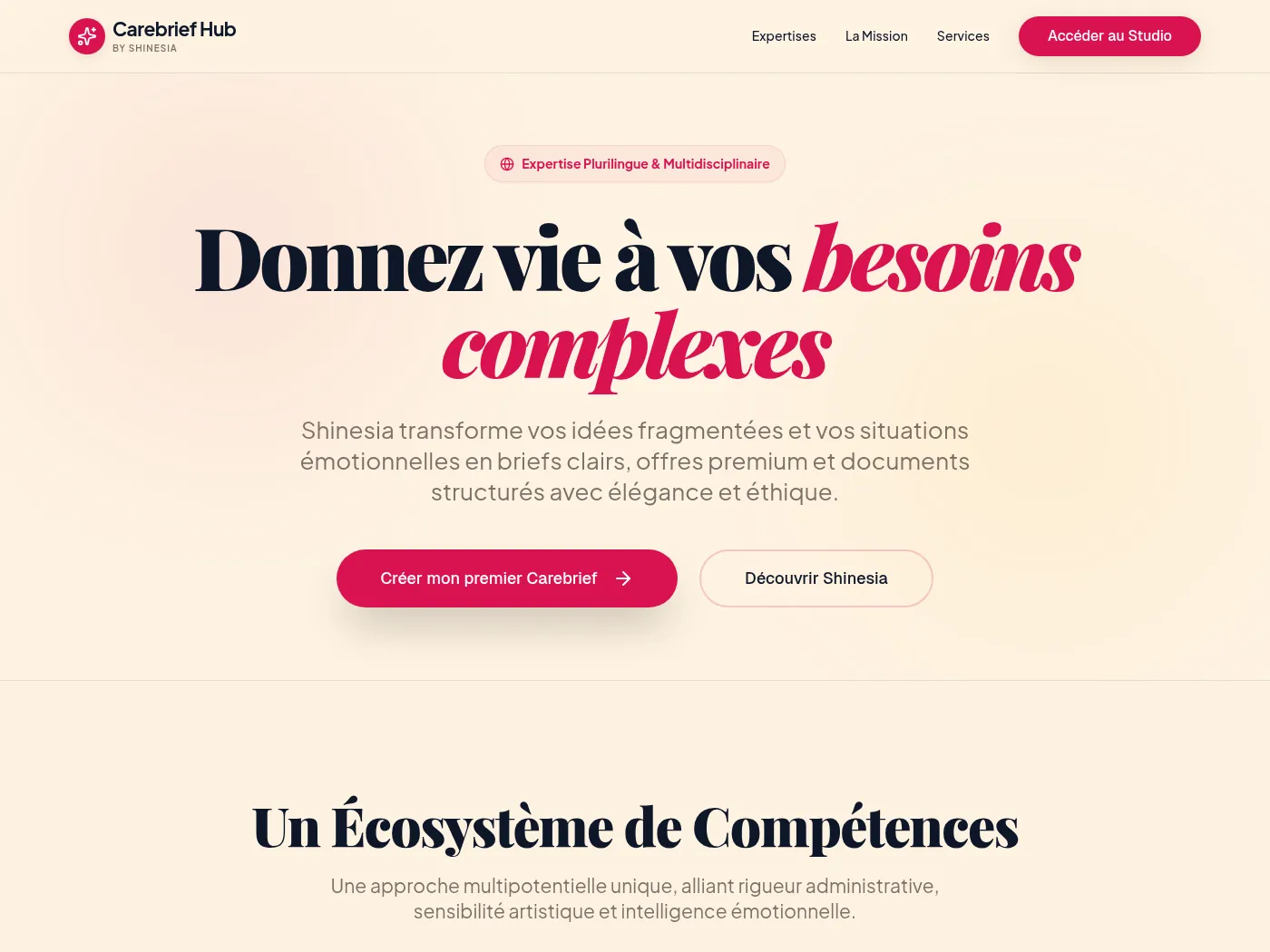 Shinesia's Carebrief Hub
